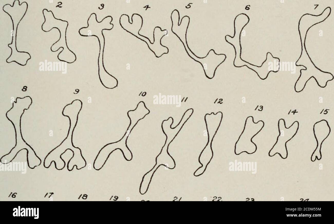 Gravel argillaceous hi-res stock photography and images - Alamy