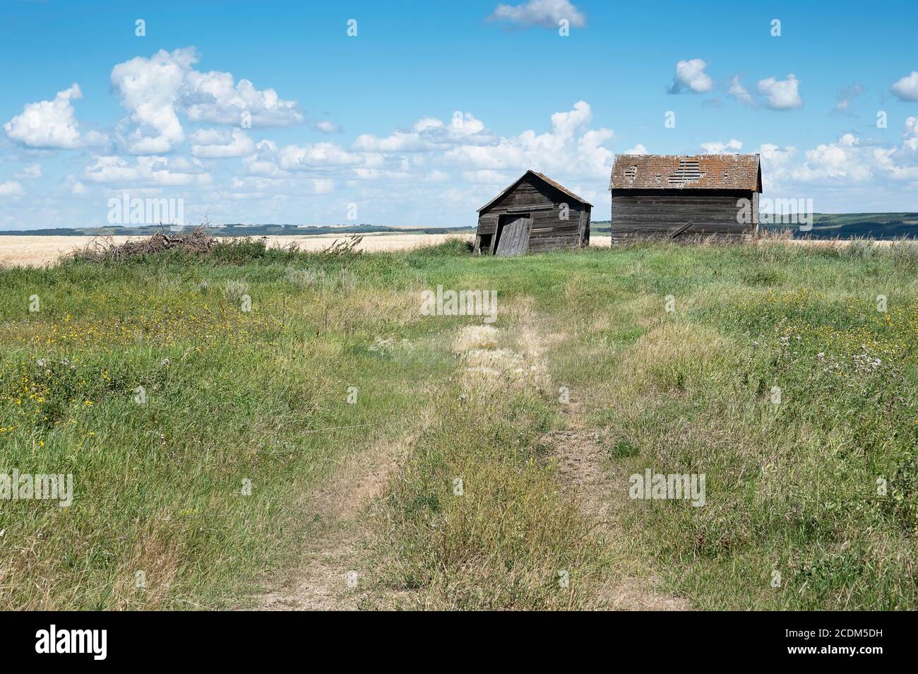Old farm buildings in a prairie pasture near the town of Trochu ...