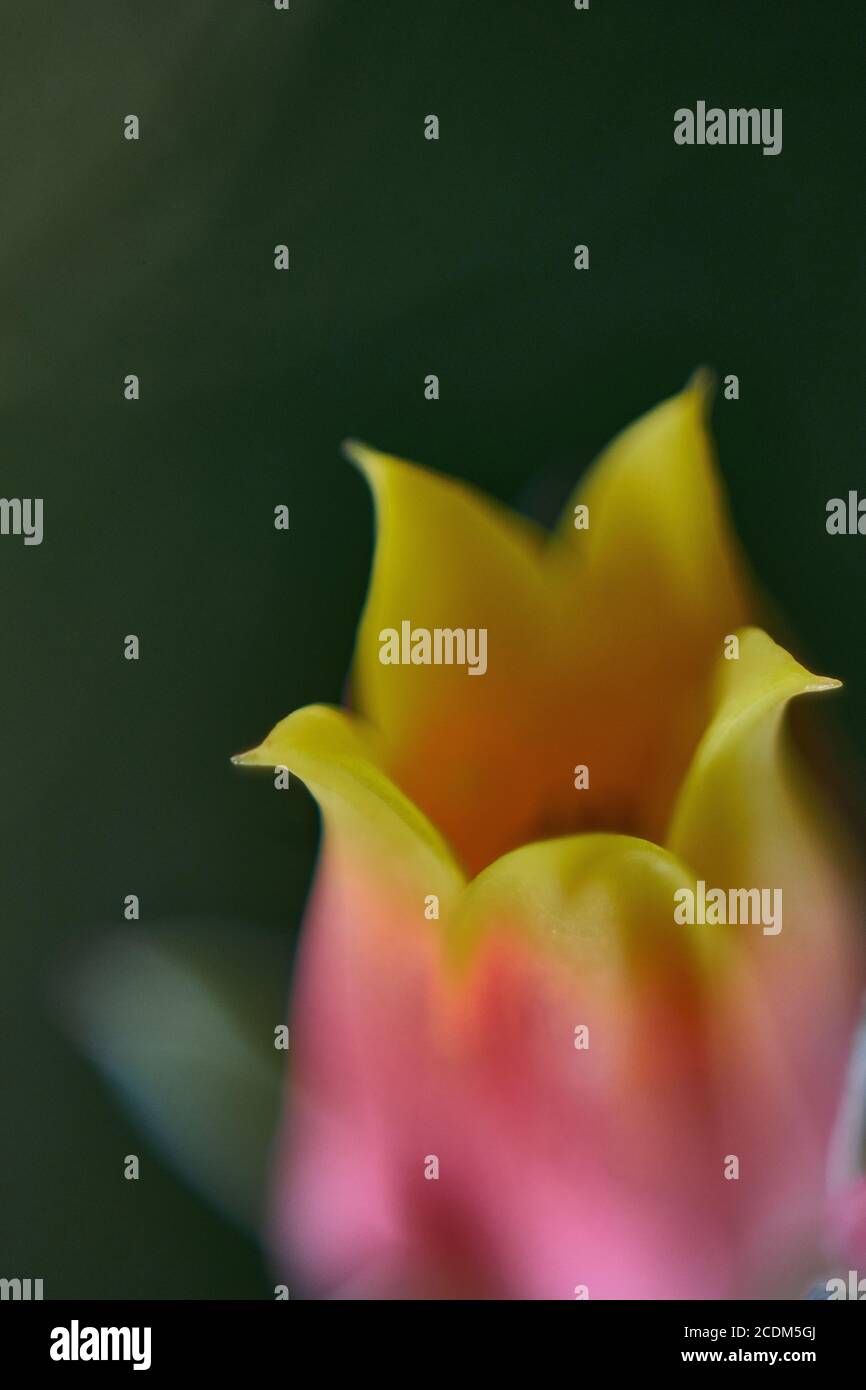 All rights reserved Stock Photo - Alamy