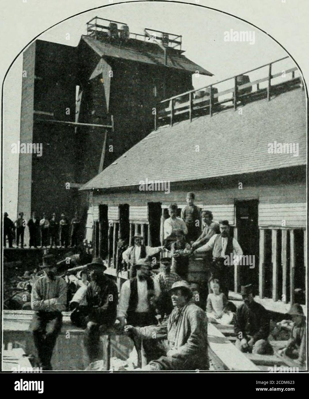 Native silver on native copper hi-res stock photography and images - Alamy