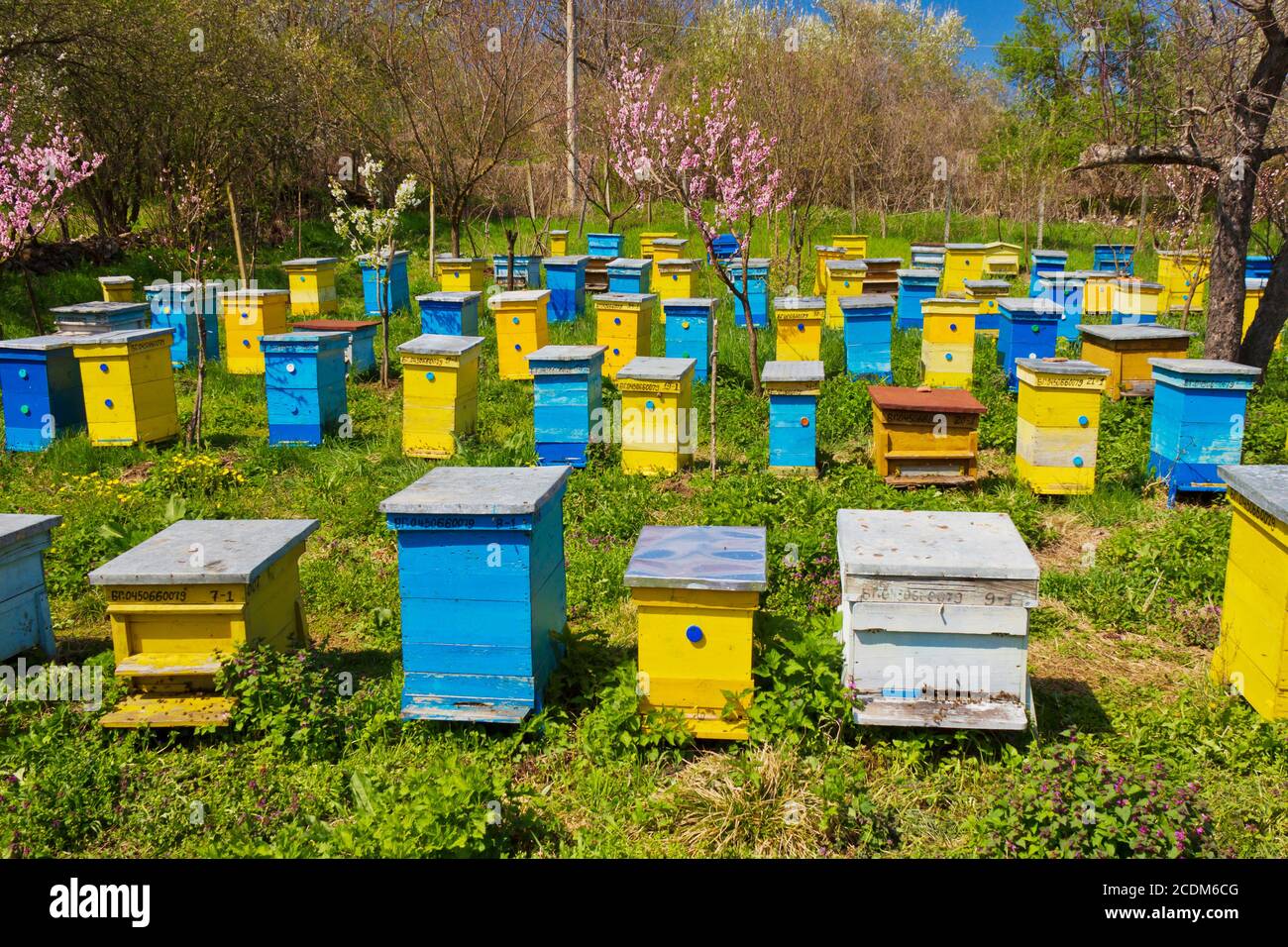 Honeycombs beehives hi-res stock photography and images - Alamy