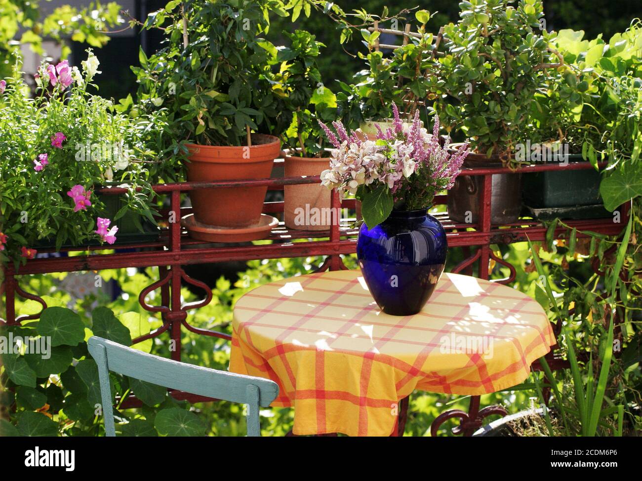 greenery on balcony Stock Photo - Alamy