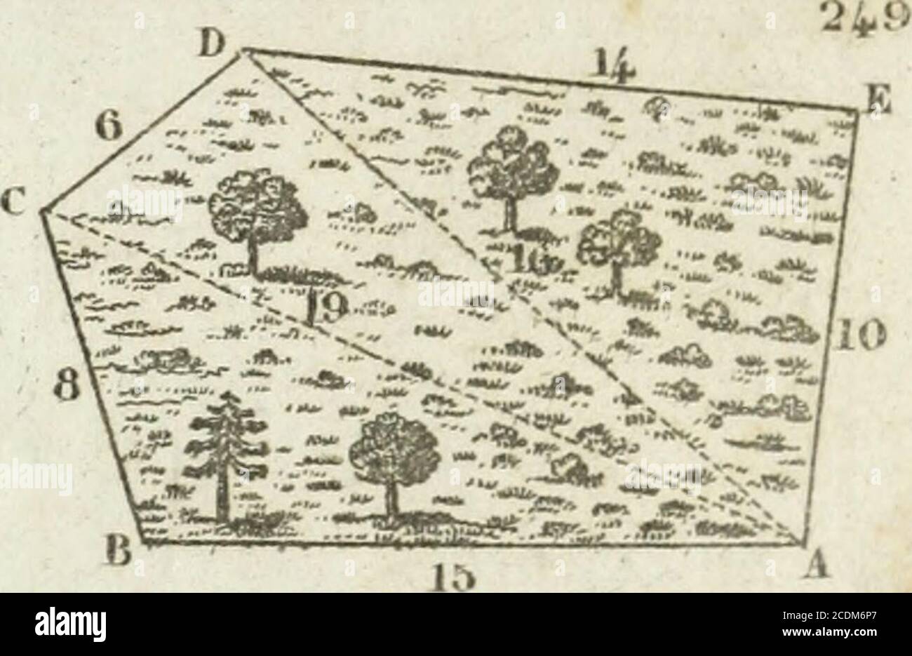 Plans de dessin hi-res stock photography and images - Alamy