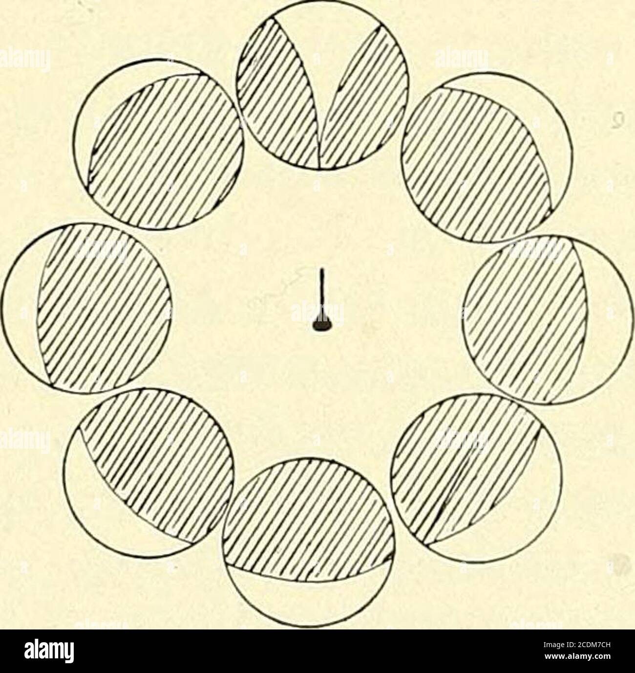 . Surgery, its principles and practice . Fig. 222.—^Median and ...