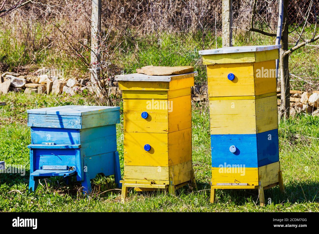 Blue and yellow beehives in garden Stock Photo - Alamy