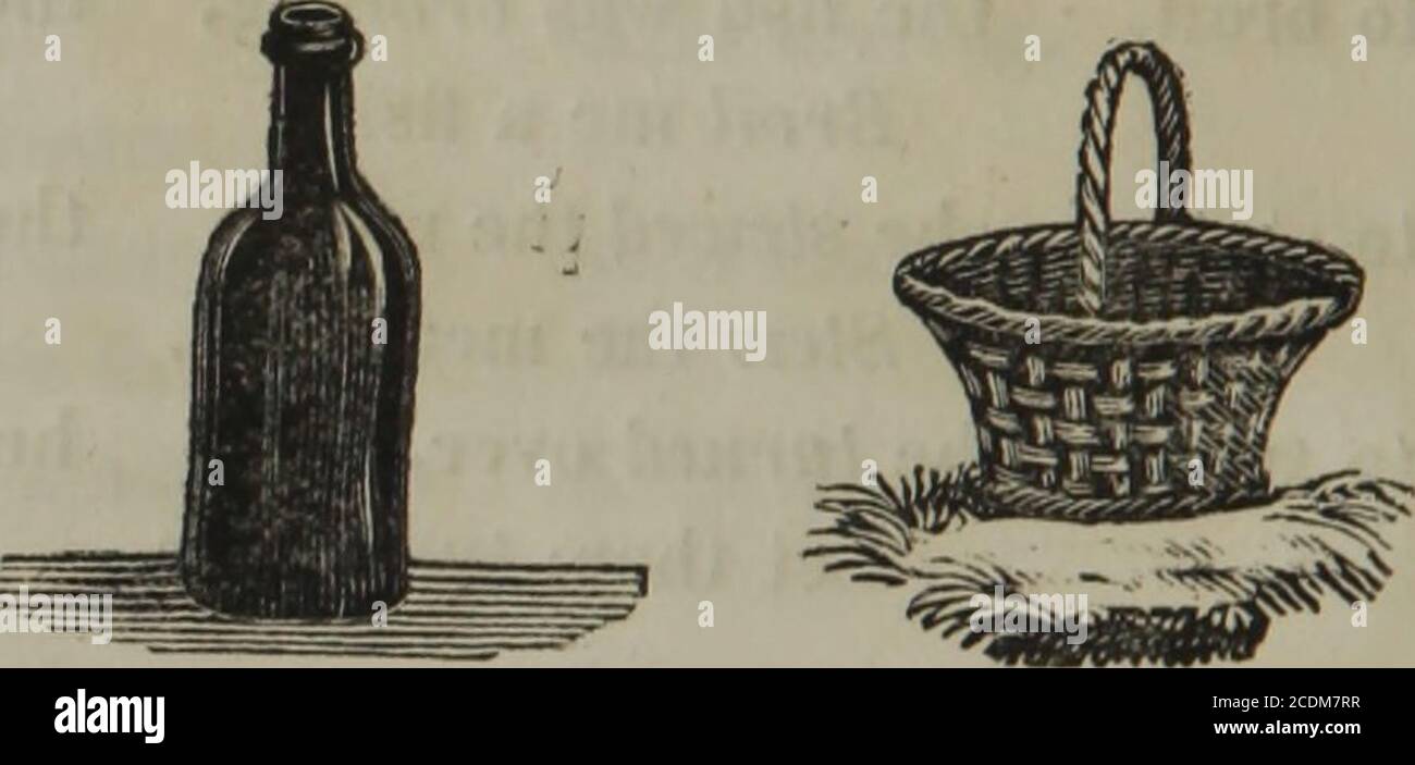 . Elementary exercises for the deaf and dumb . Bonnet Bellows. Bottle ...