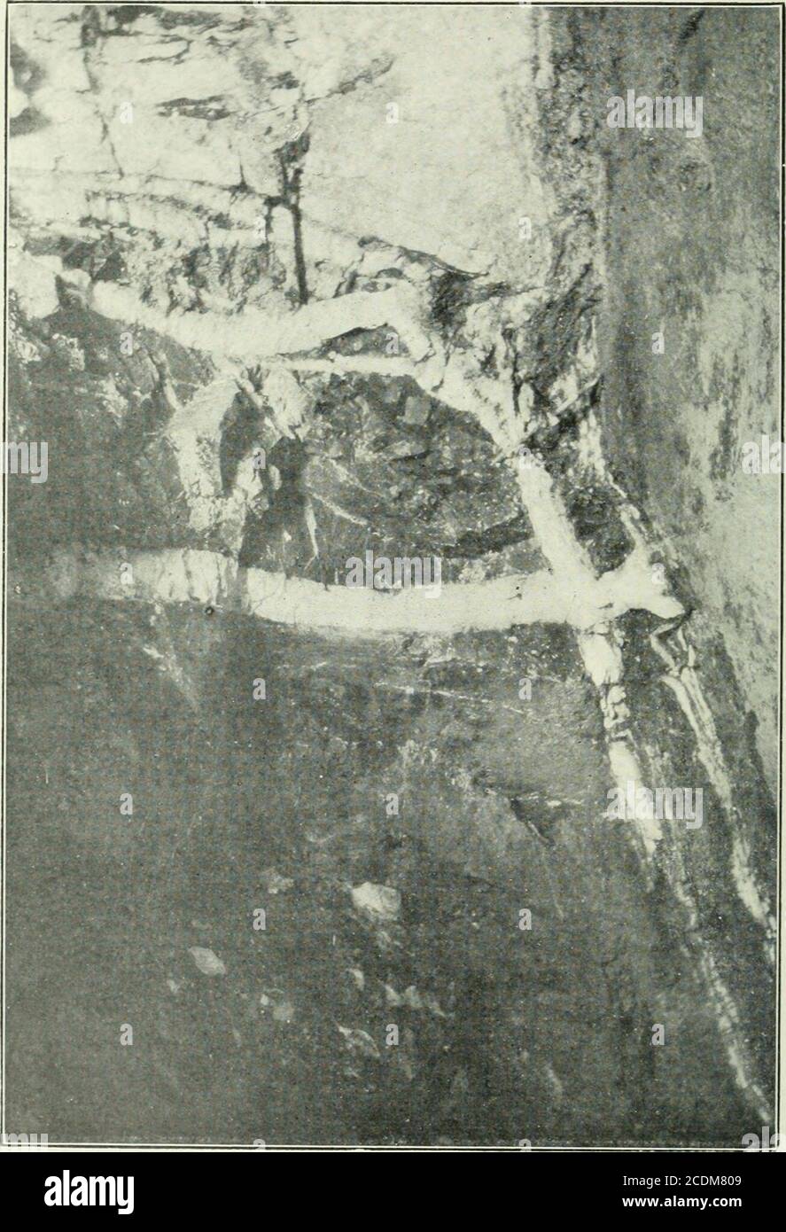 William h crook hi-res stock photography and images - Alamy