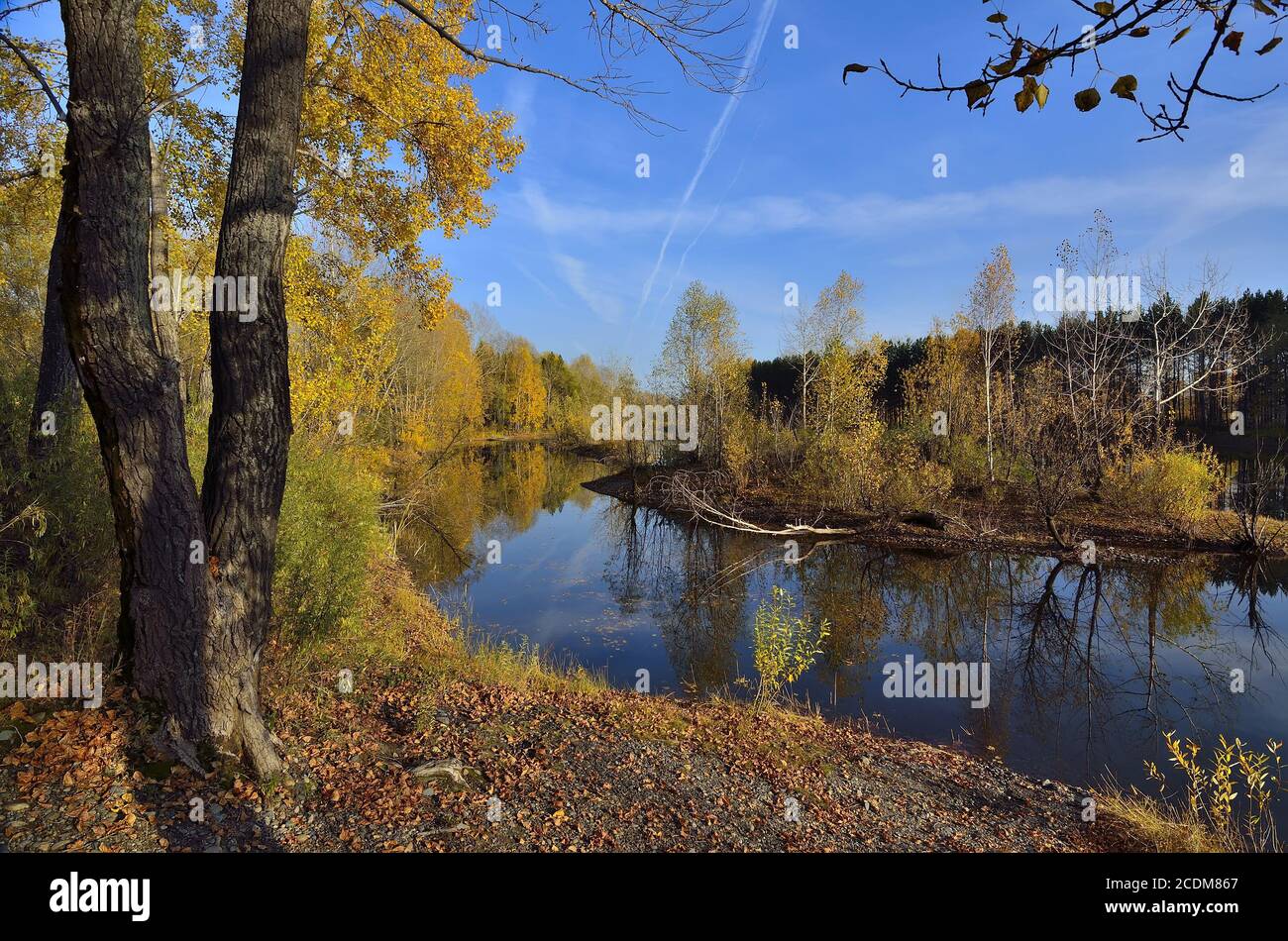 Yellow leaves near blue water hi-res stock photography and images - Alamy