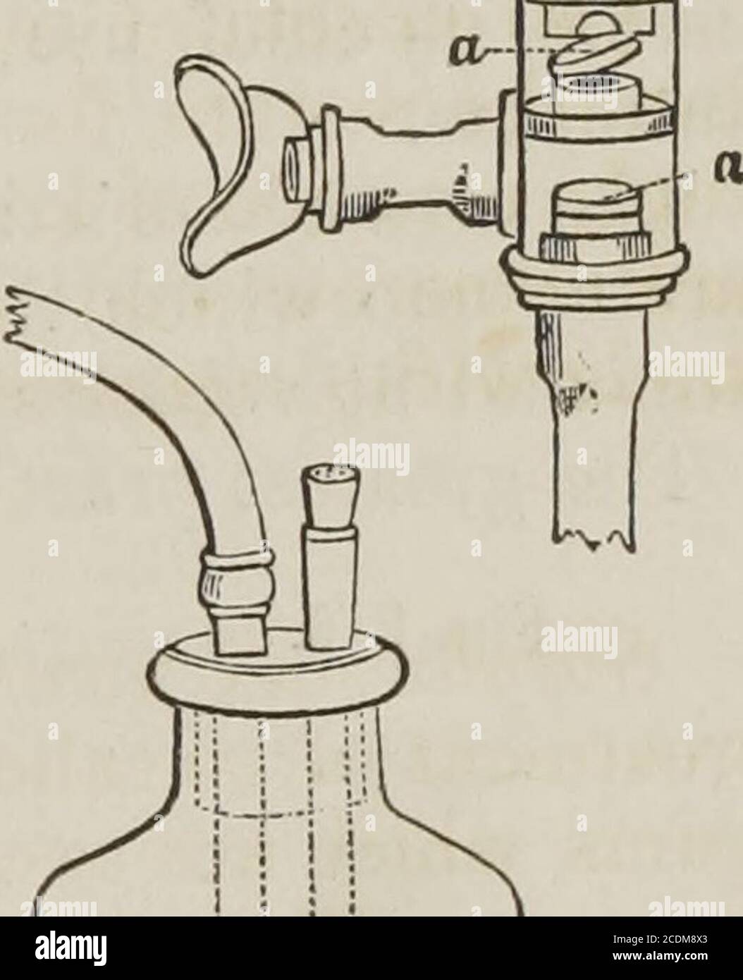Cork Borer Chemistry