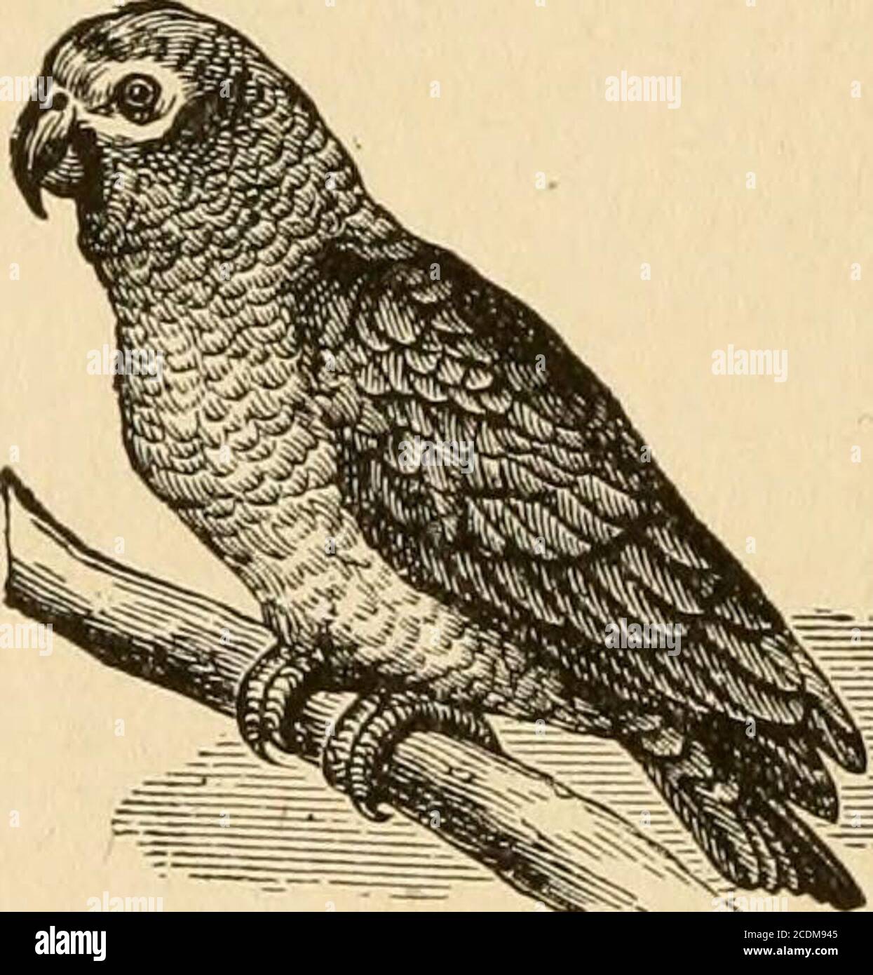 Gevity hi-res stock photography and images - Alamy