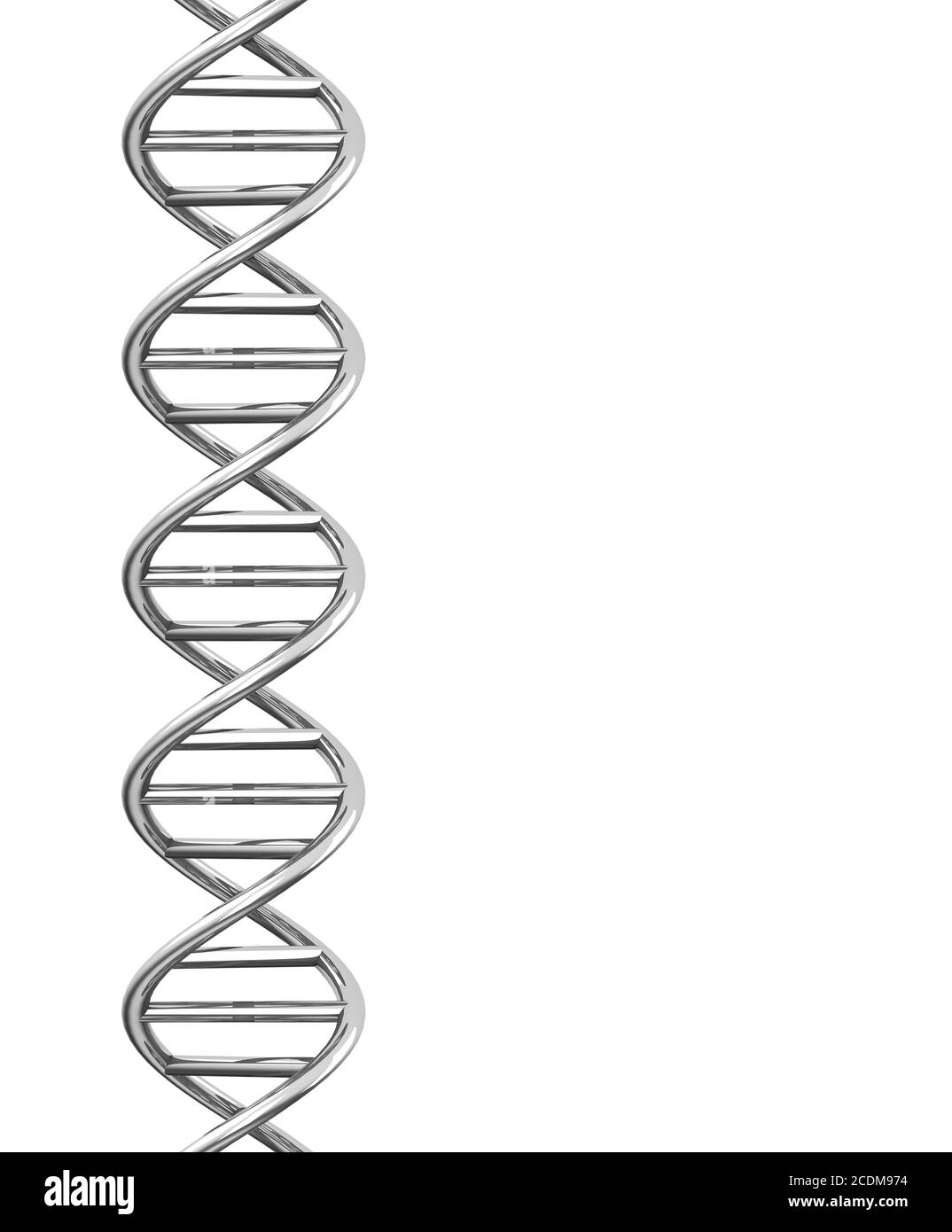 Black And White Dna Strand