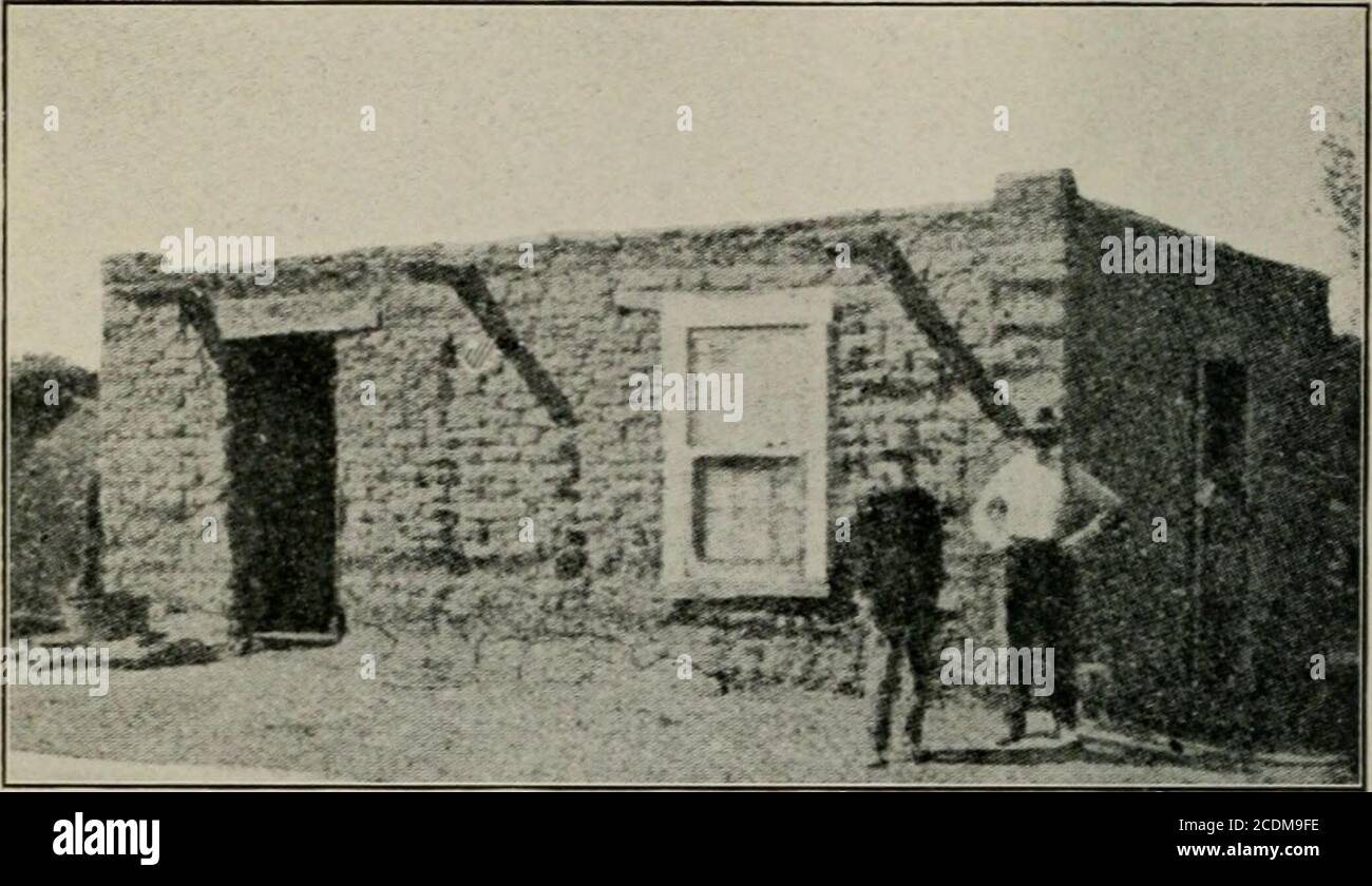 . Mormon settlement in Arizona : a record of peaceful conquest of the ...
