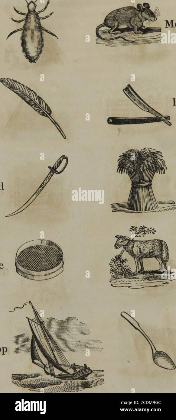 . Elementary exercises for the deaf and dumb . Knife M [ 90 1 (l9//i ...