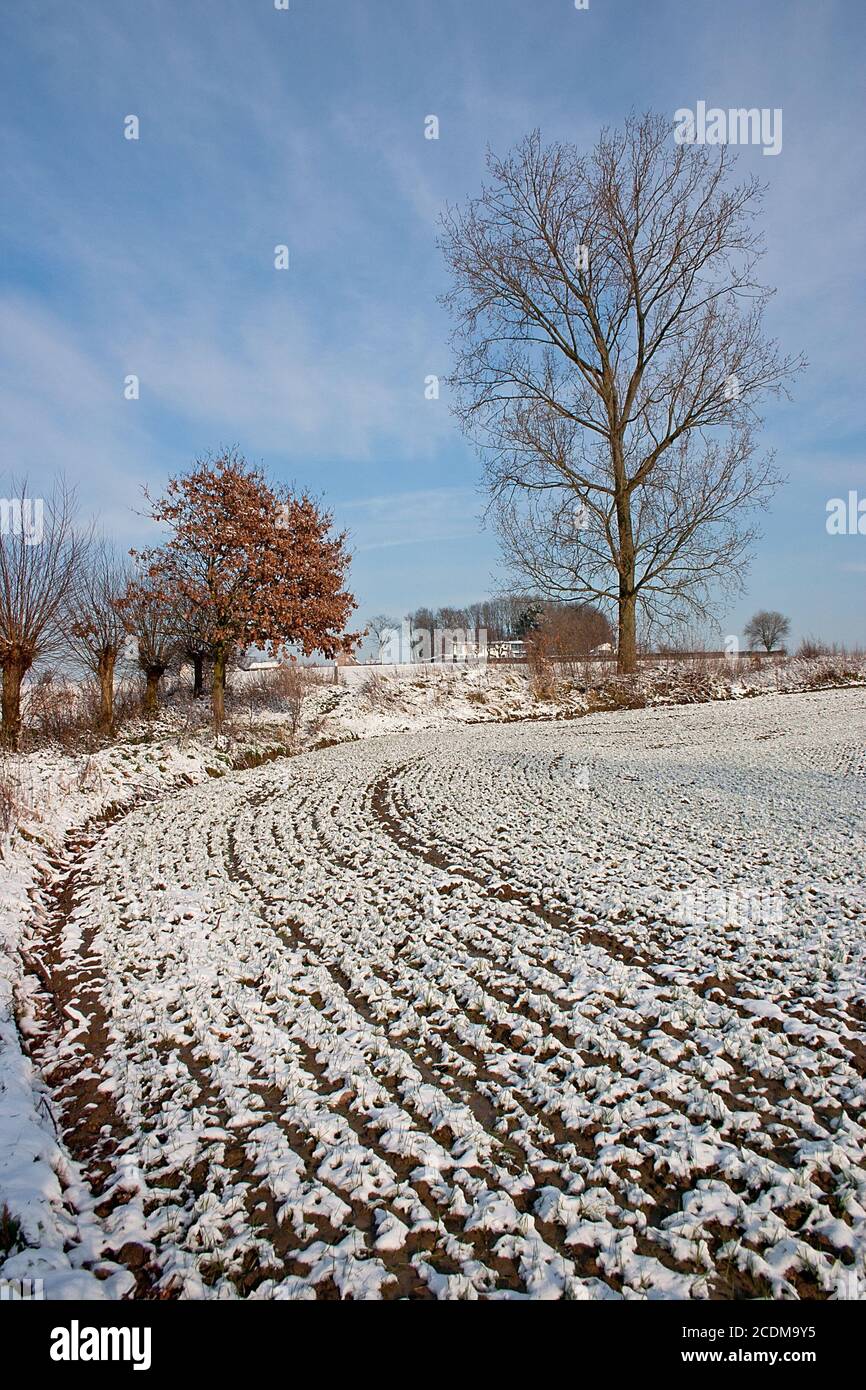 Winter Landscape - 05 Stock Photo - Alamy