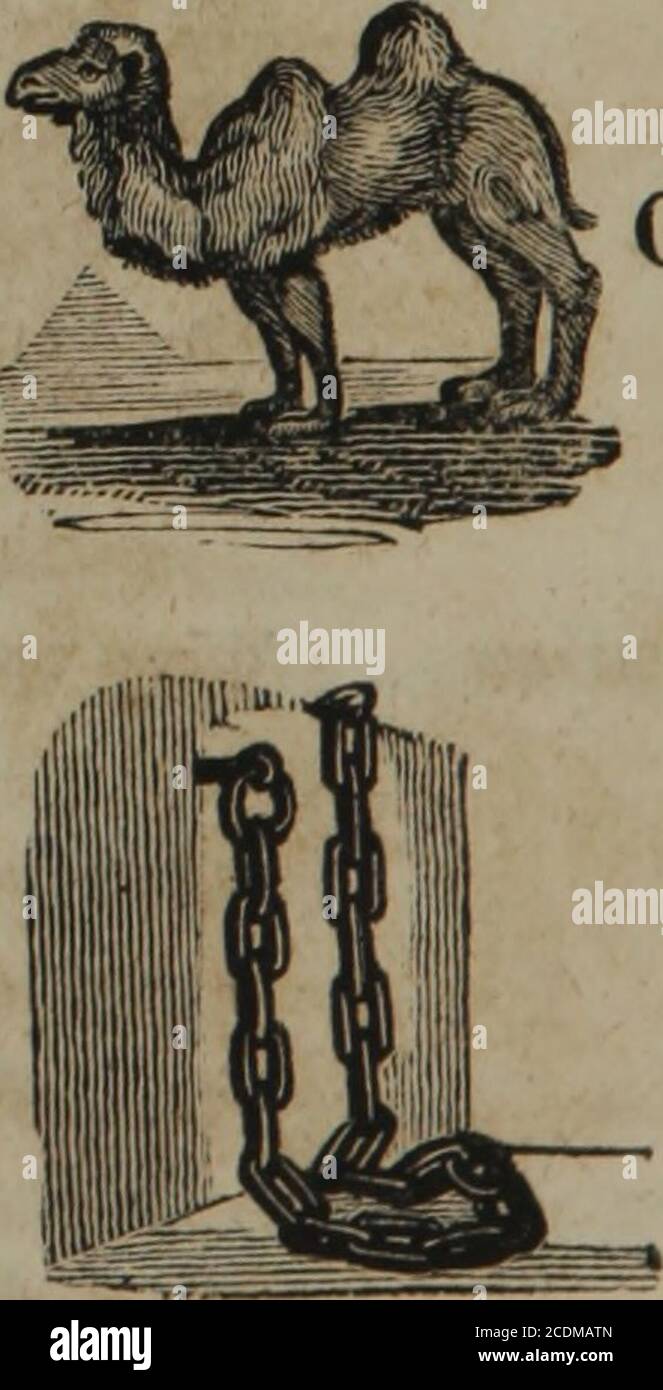 . Elementary exercises for the deaf and dumb . Camel Chain [ 89 ] (19fh ...