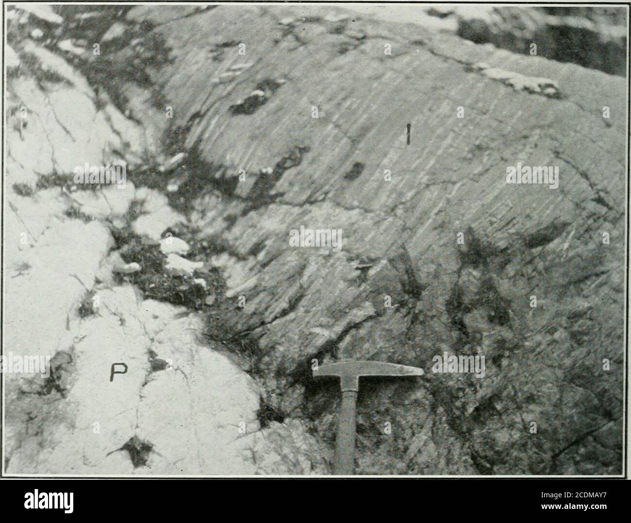 Phenocrysts of plagioclase hi-res stock photography and images - Alamy