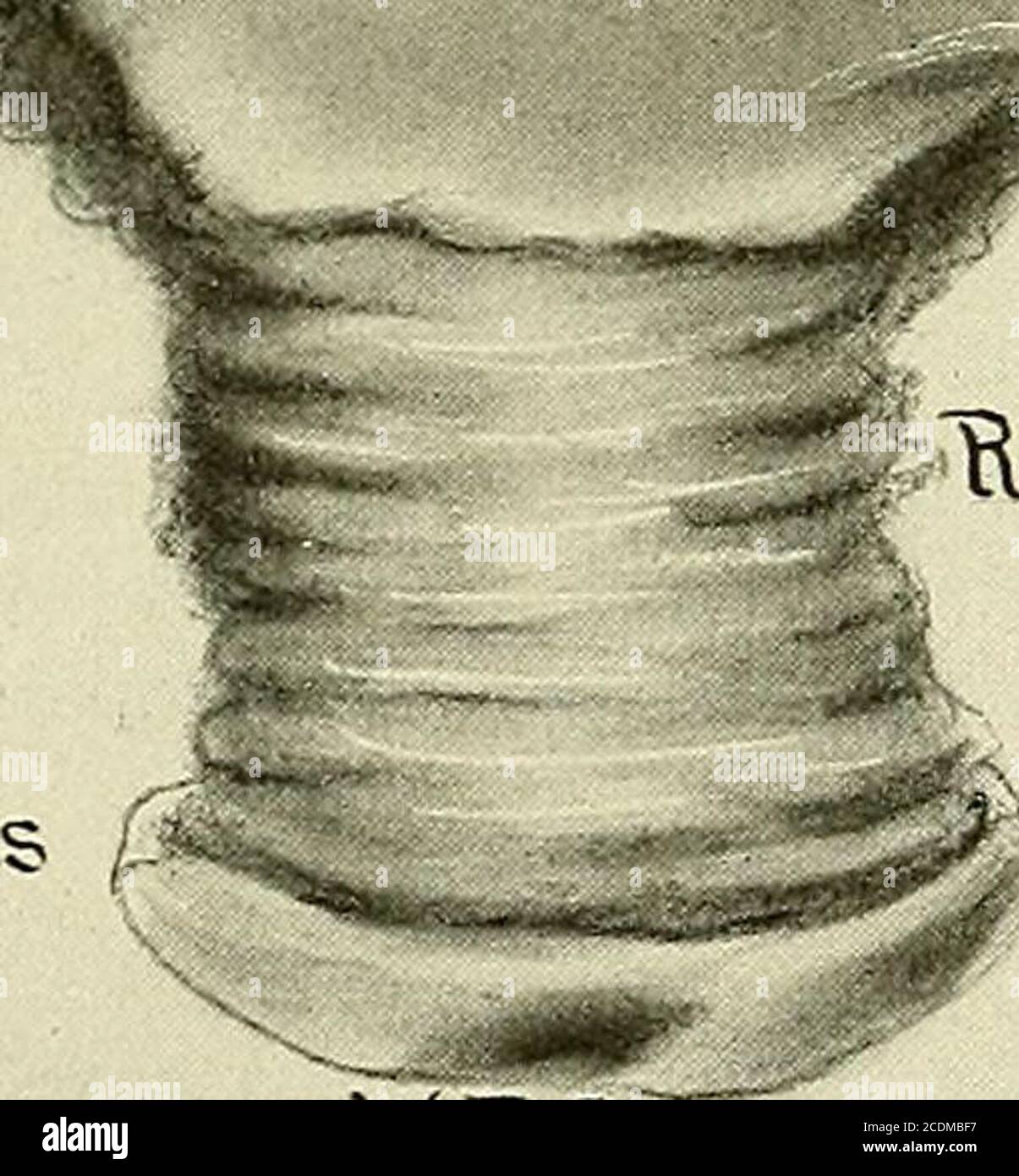 Tubo ht hi-res stock photography and images - Alamy