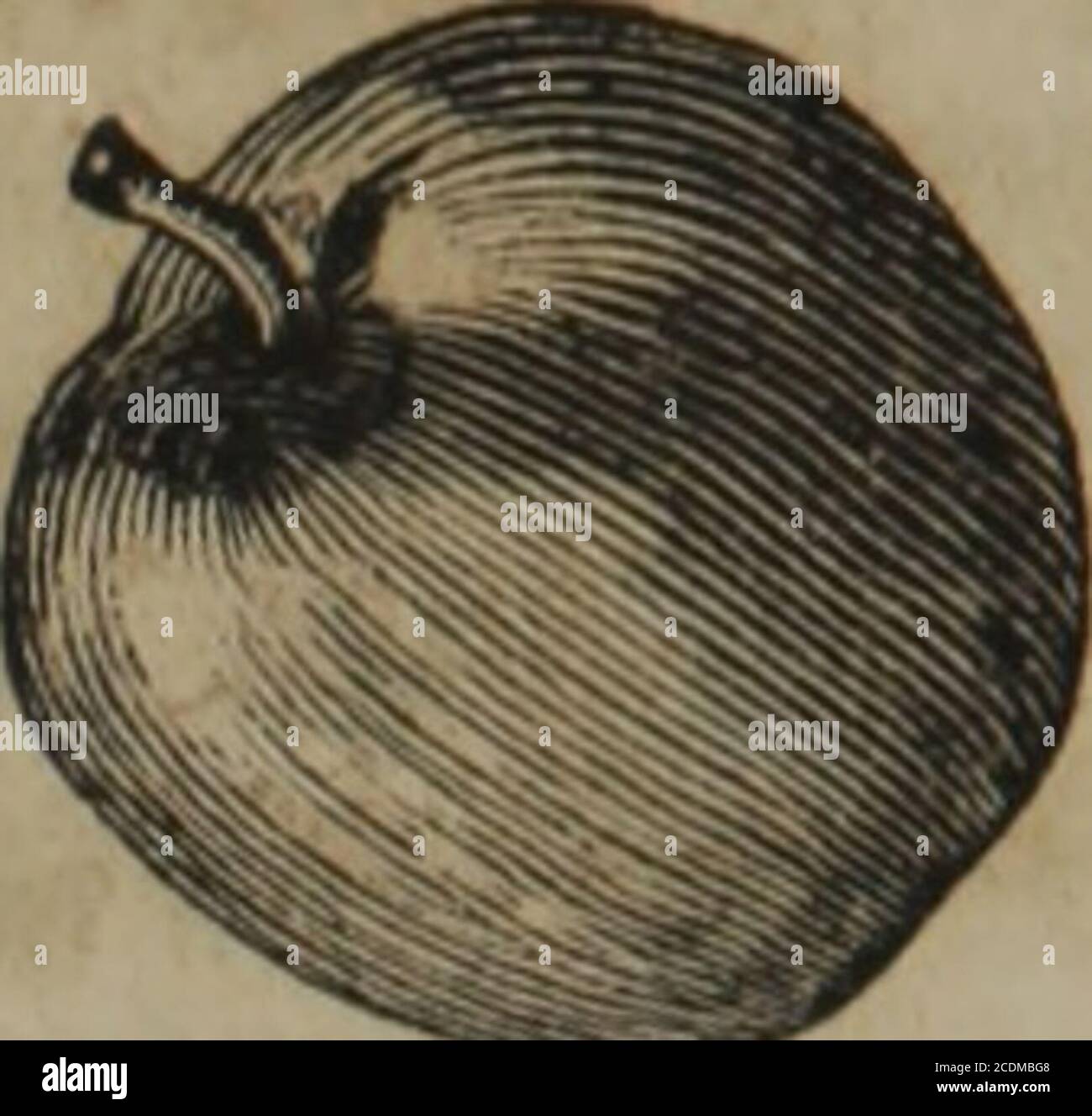 . Elementary exercises for the deaf and dumb . Apple Stock Photo - Alamy