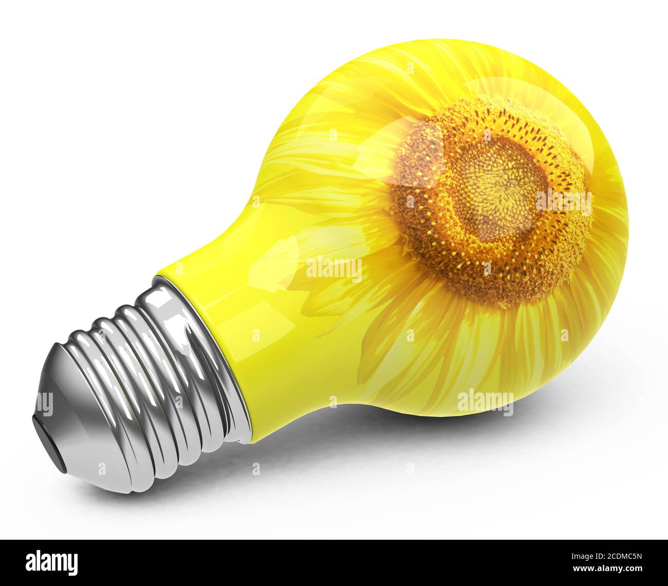 Light bulb sunflower hi-res stock photography and images - Alamy
