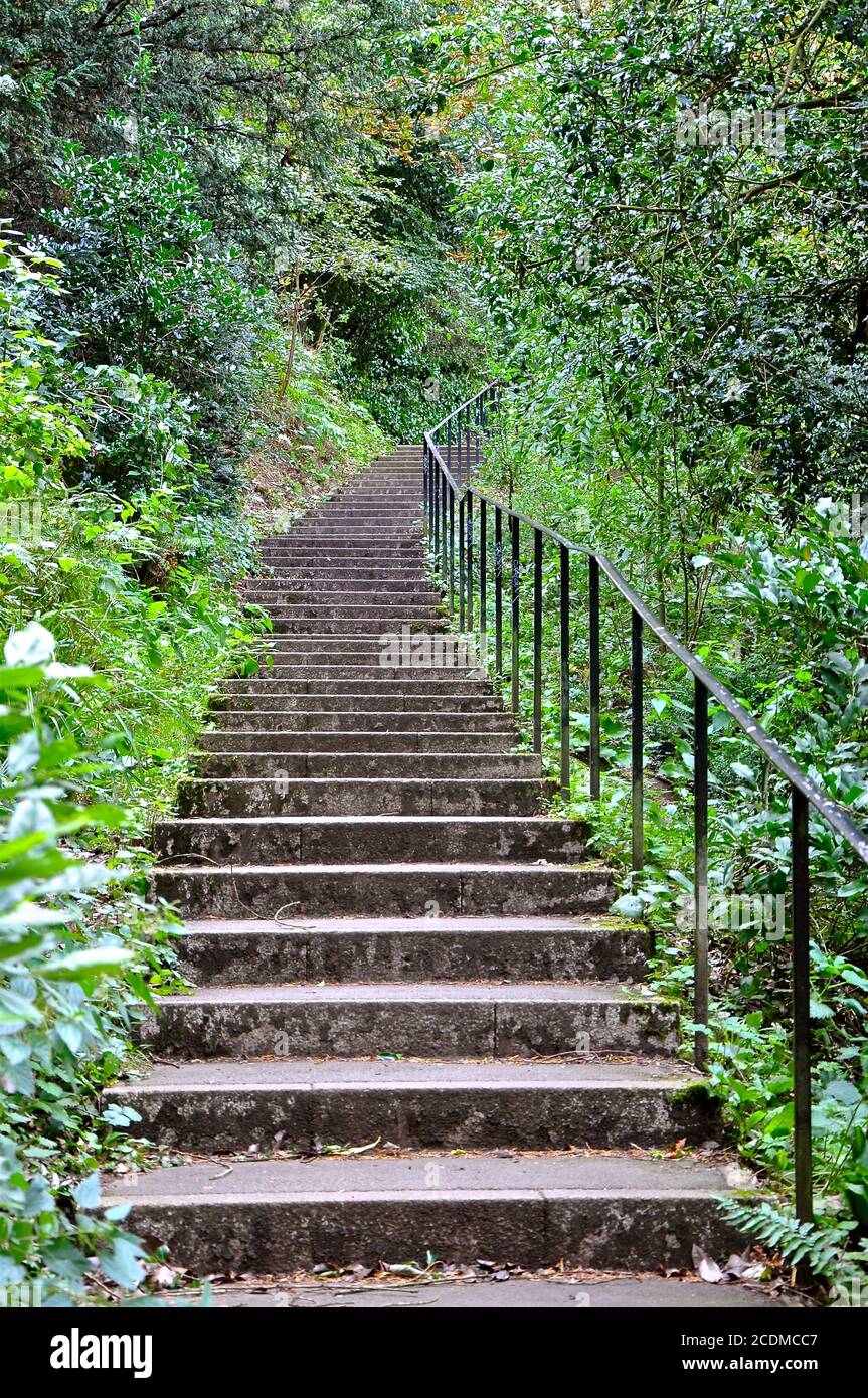 Cast iron steps hi-res stock photography and images - Alamy