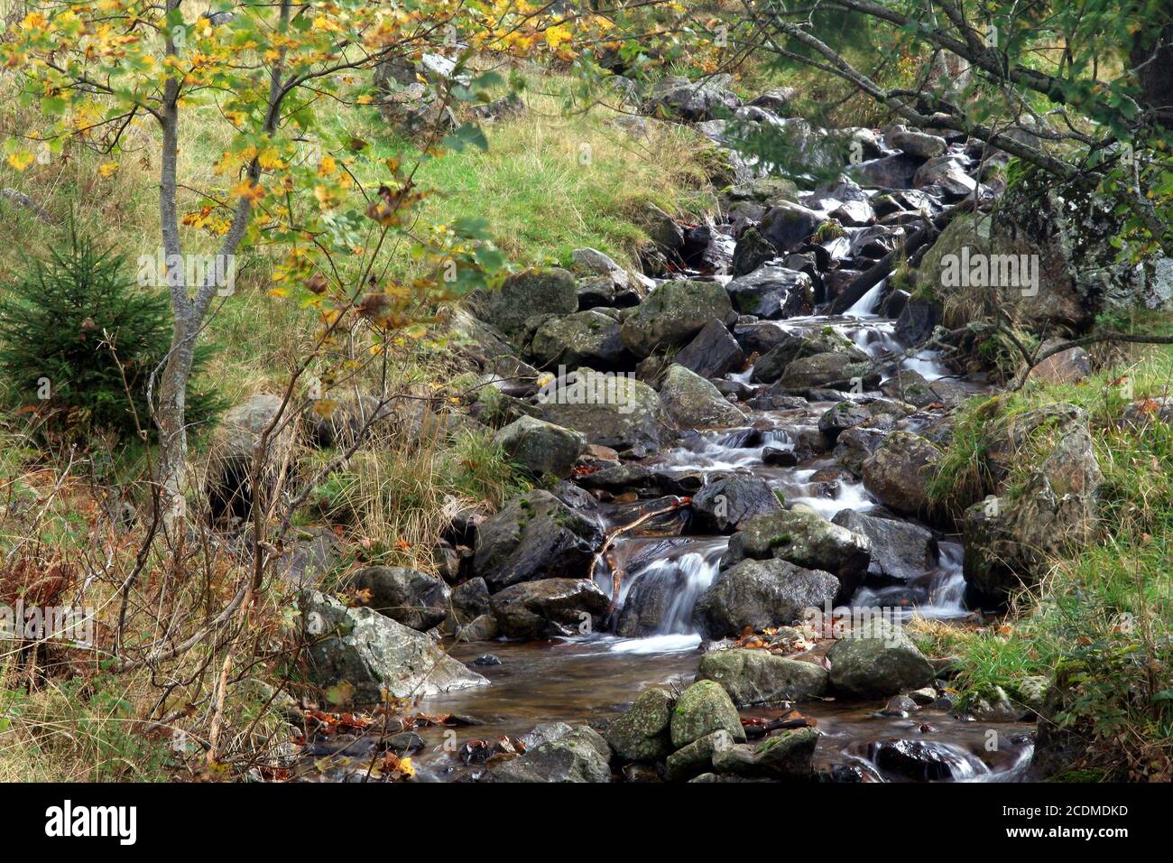 Brook run park hi-res stock photography and images - Alamy