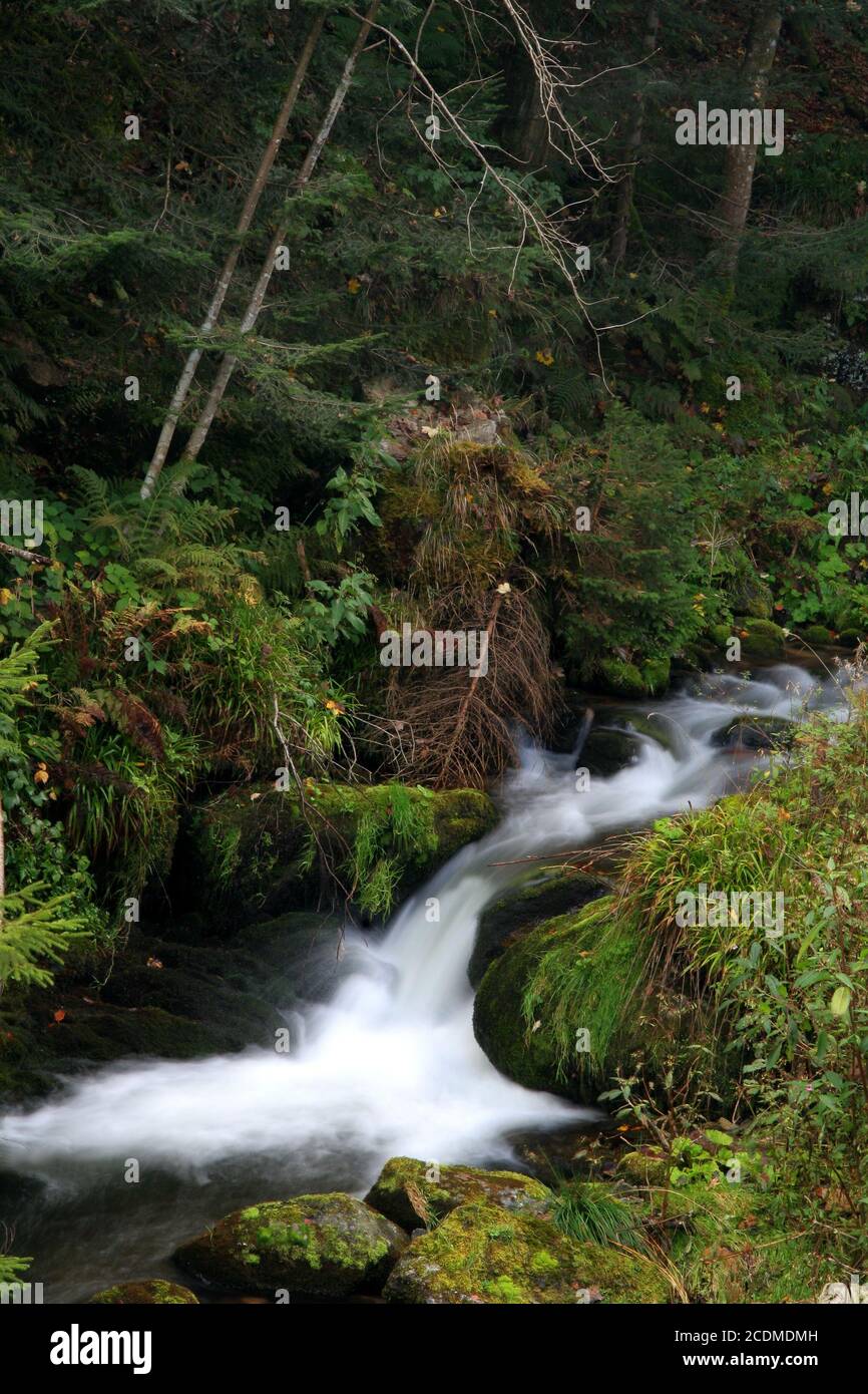 Fotoposter hi-res stock photography and images - Alamy