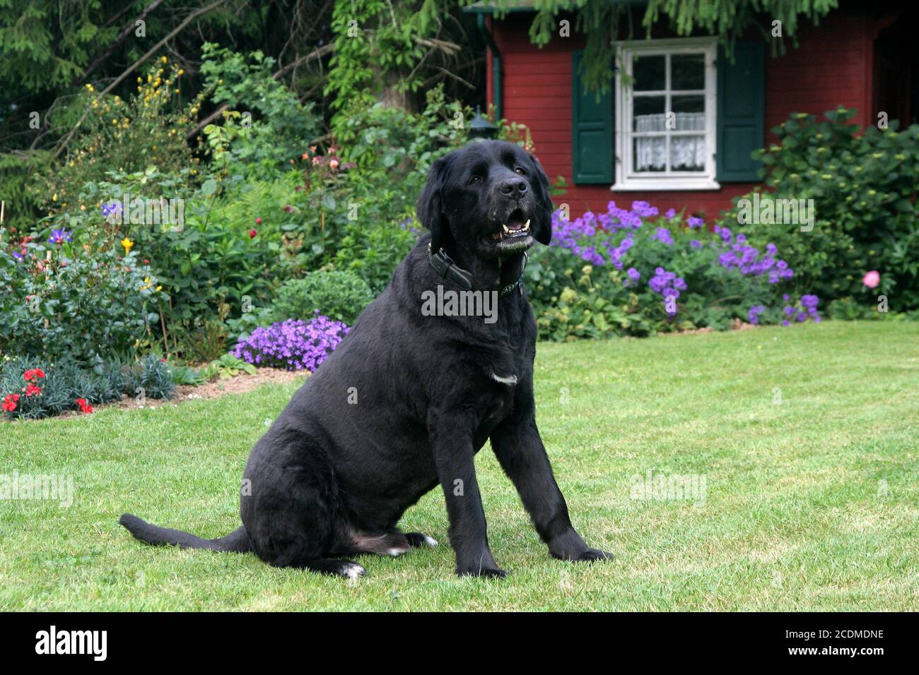 Bernersennen hi-res stock photography and images - Alamy
