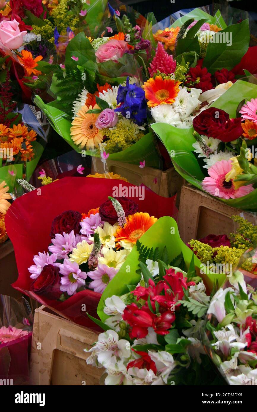 Flowermarket - 1 Stock Photo - Alamy