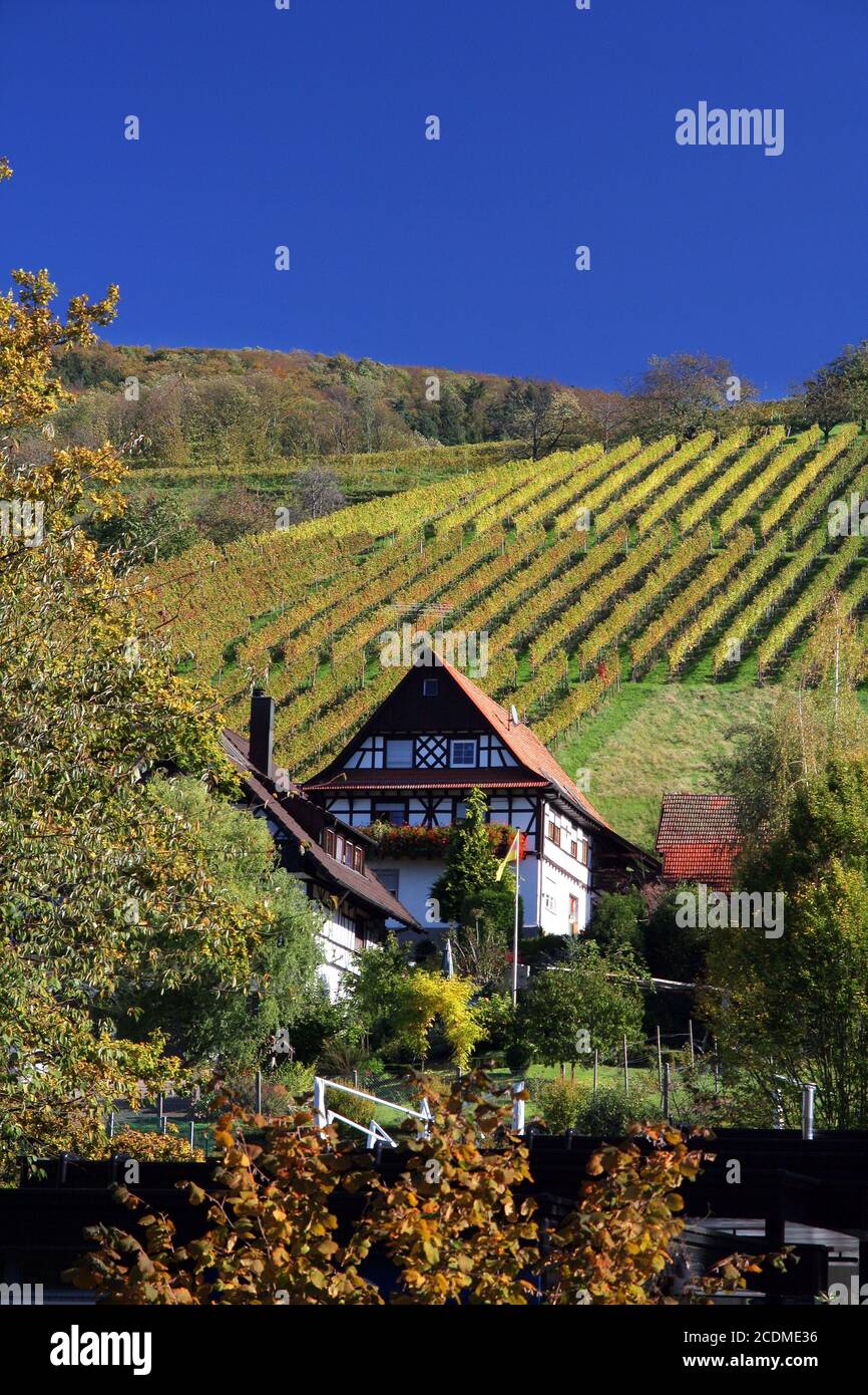 Waldidylle hi-res stock photography and images - Alamy