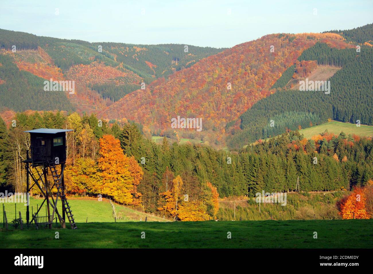 Autuum colors hi-res stock photography and images - Alamy