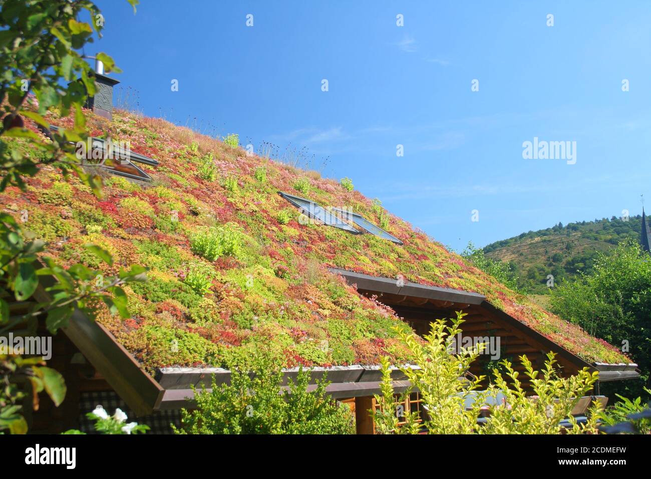 Vegetation roof hi-res stock photography and images - Alamy