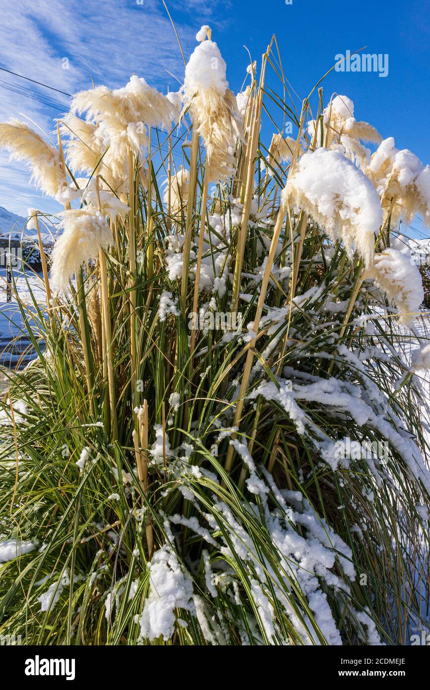 Panorama of esquel hi-res stock photography and images - Alamy