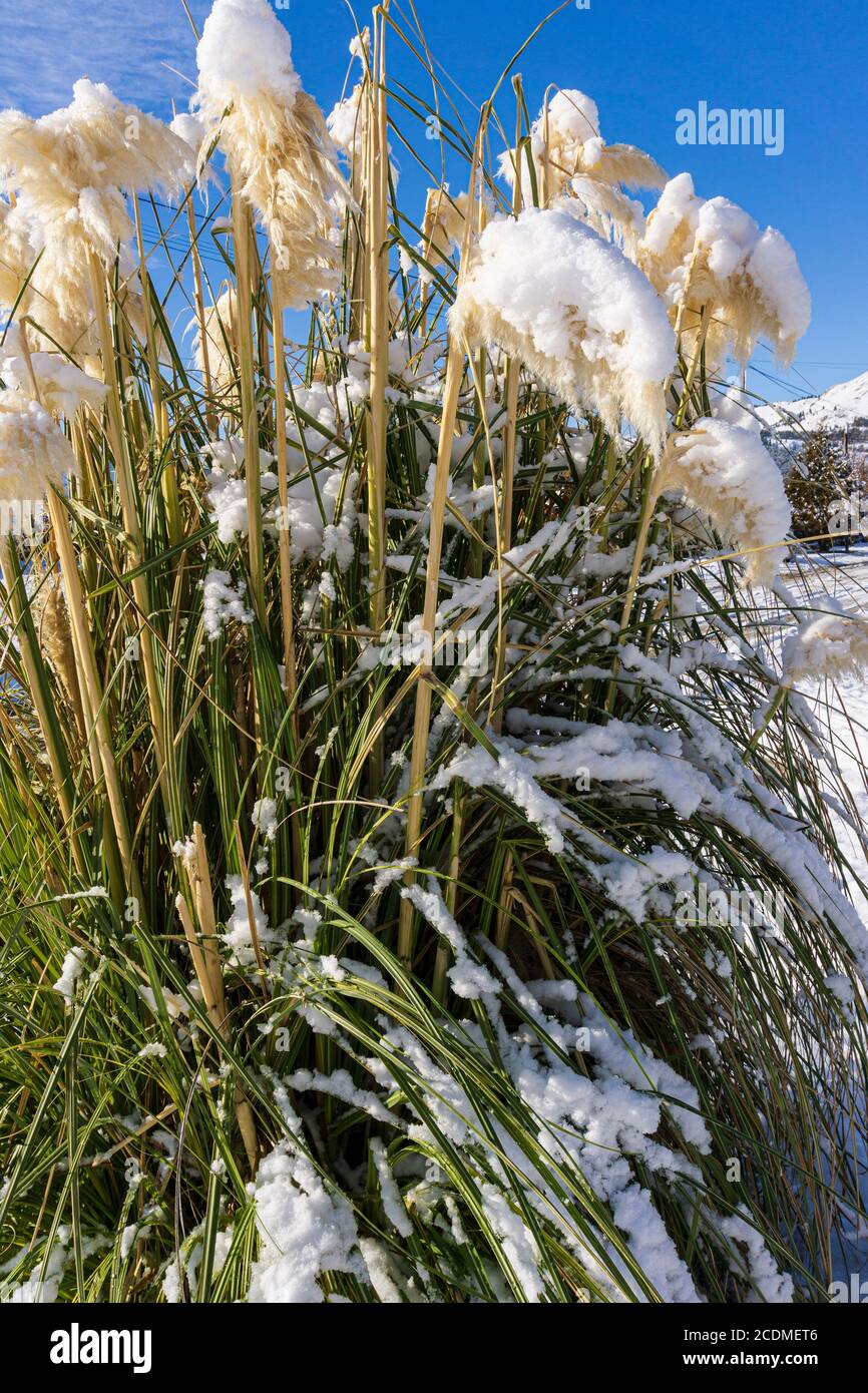 Panorama esquel hi-res stock photography and images - Alamy