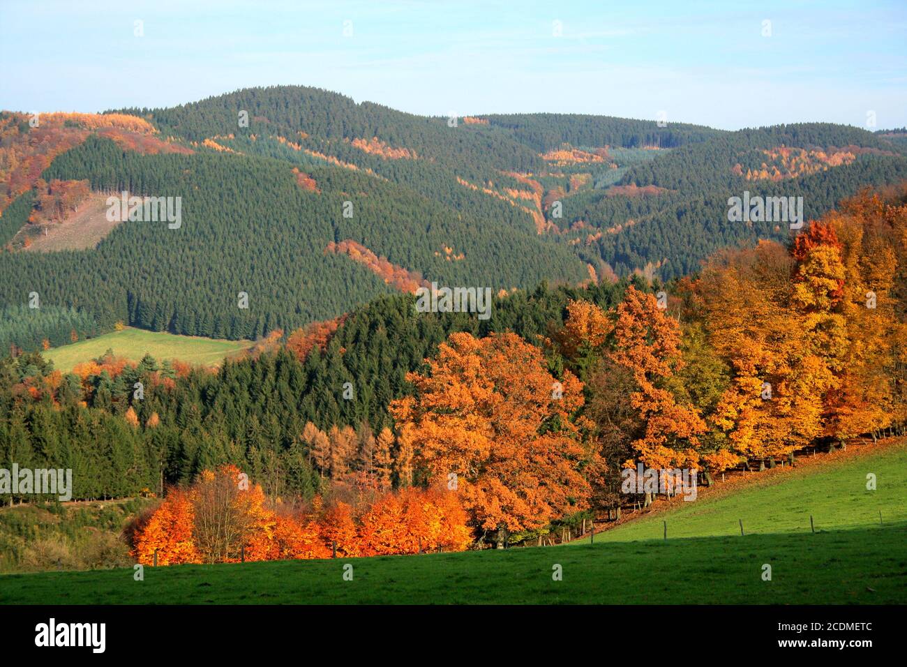 Sauerland in autumn germany hi-res stock photography and images - Alamy