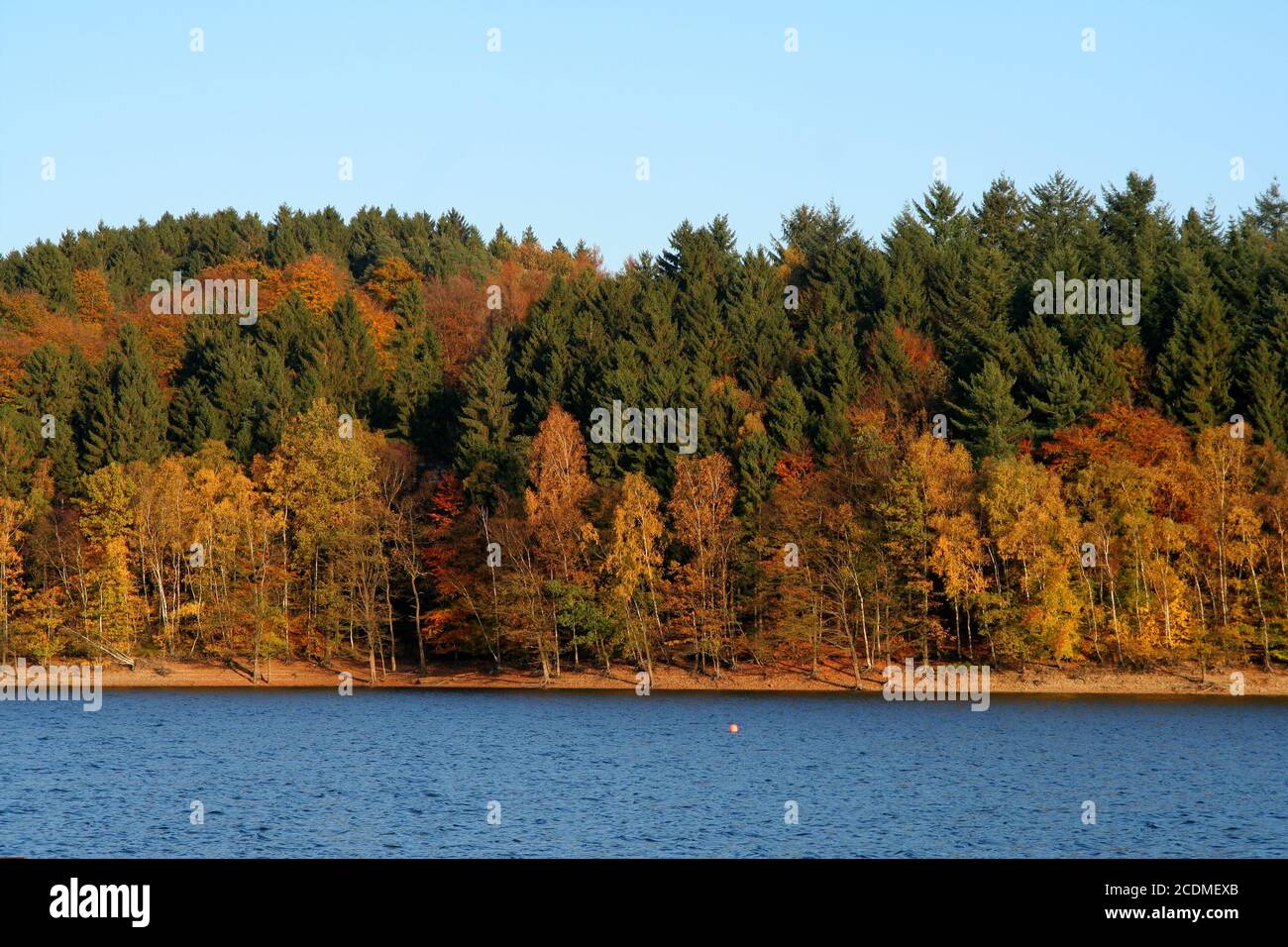 Bever Dam High Resolution Stock Photography and Images - Alamy