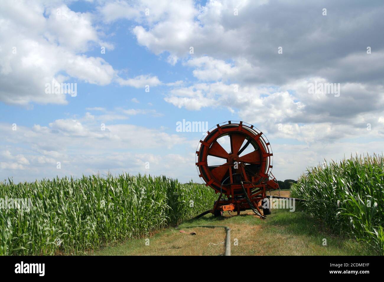 Heat period comes hi-res stock photography and images - Alamy
