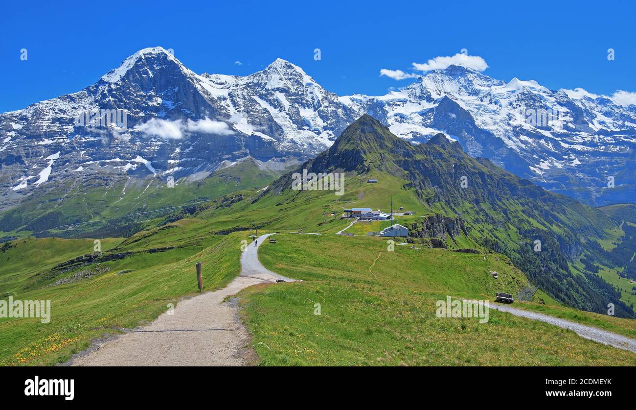 Mountain meadow and hiking trail on the Maennlichen with the ...