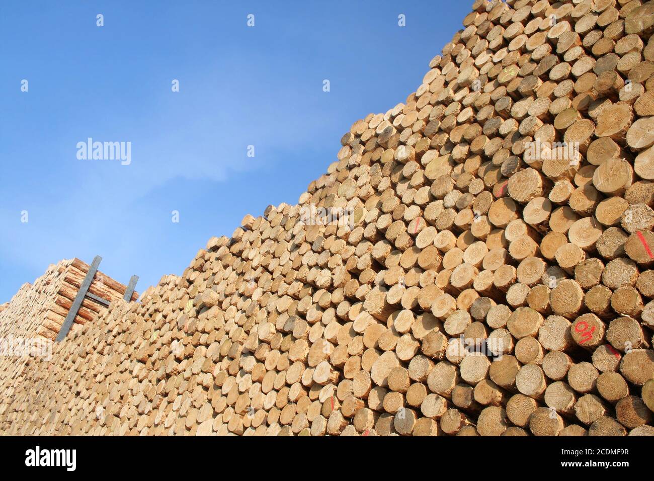 forestry and wood industry Stock Photo - Alamy
