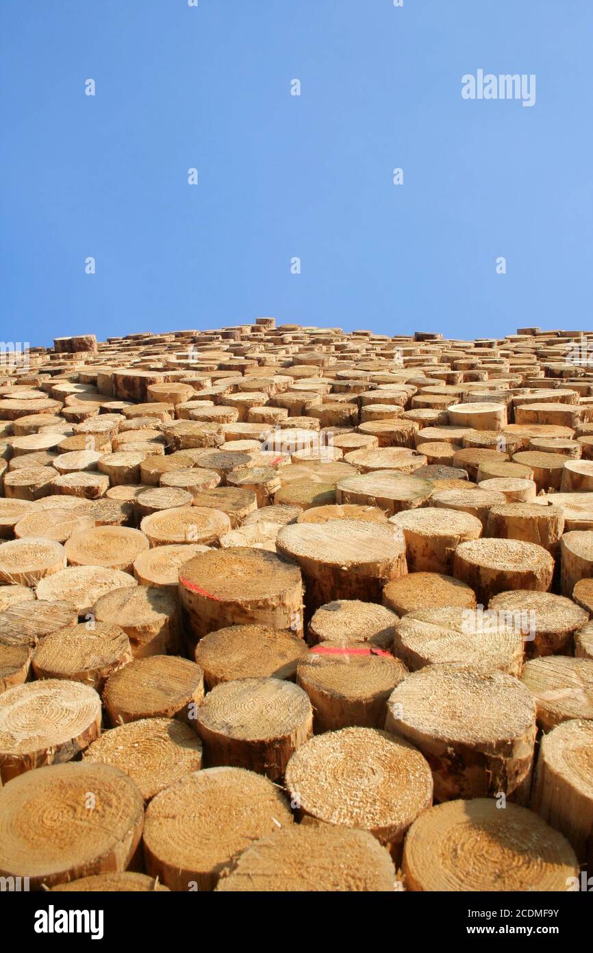 forestry and wood industry Stock Photo - Alamy