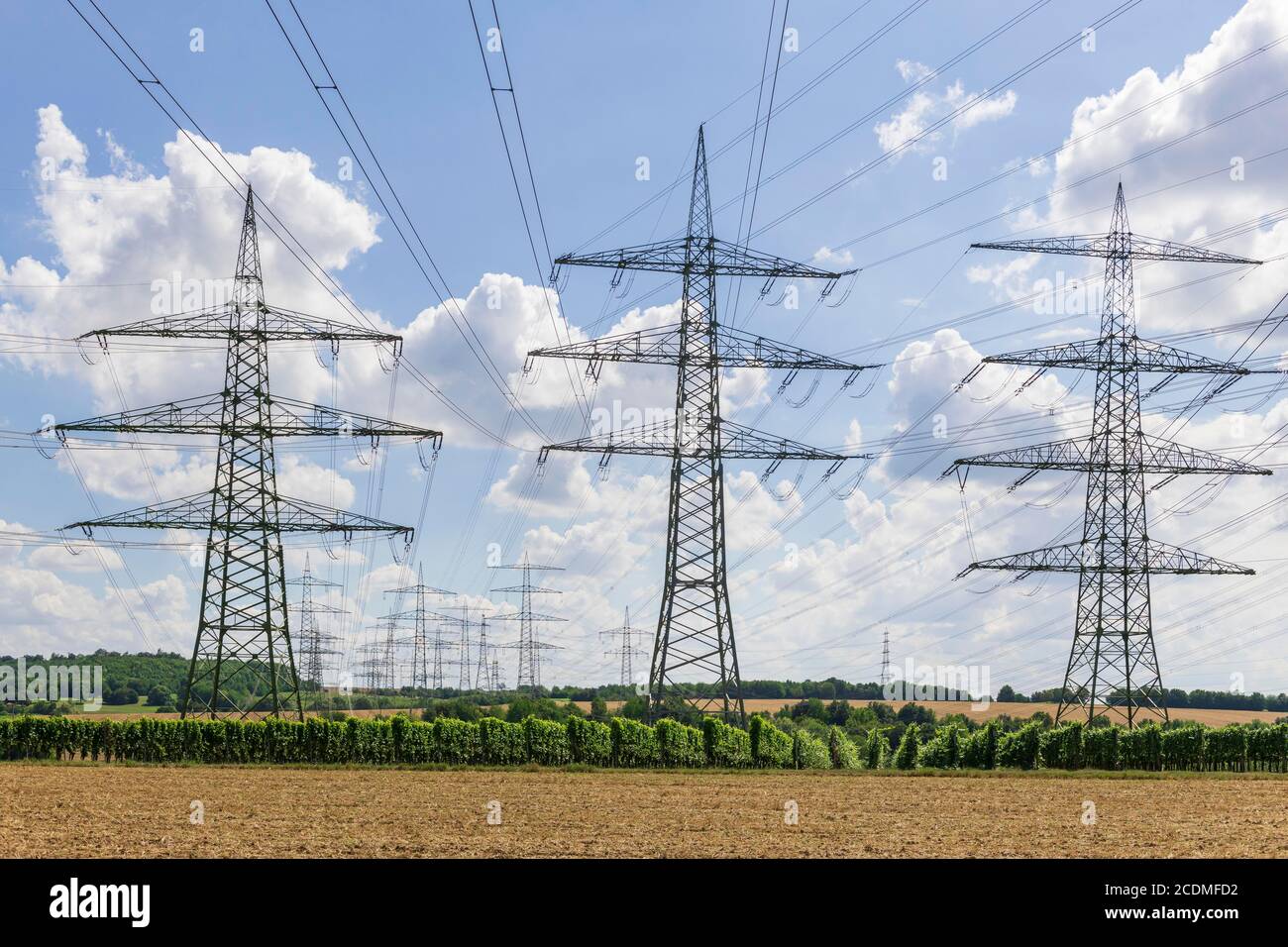 Power lines, transmission lines, high voltage pylons, Baden ...