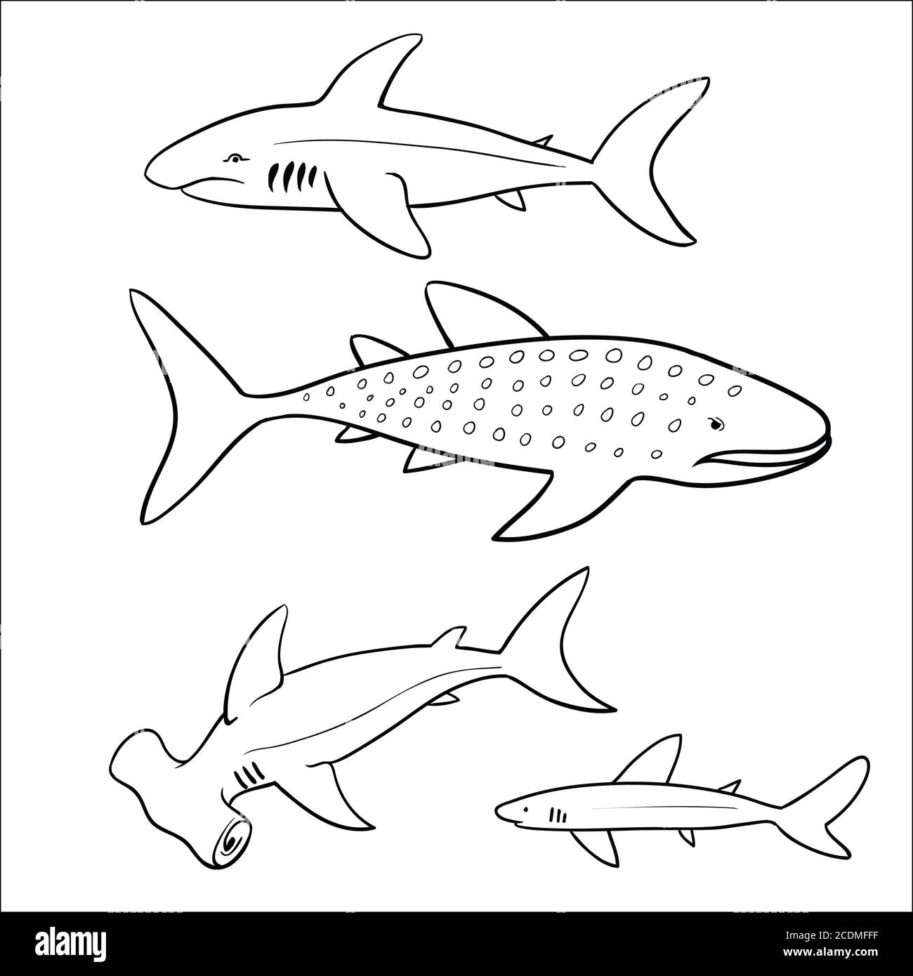 Set of shark types. Vector illustration Stock Vector Image & Art - Alamy