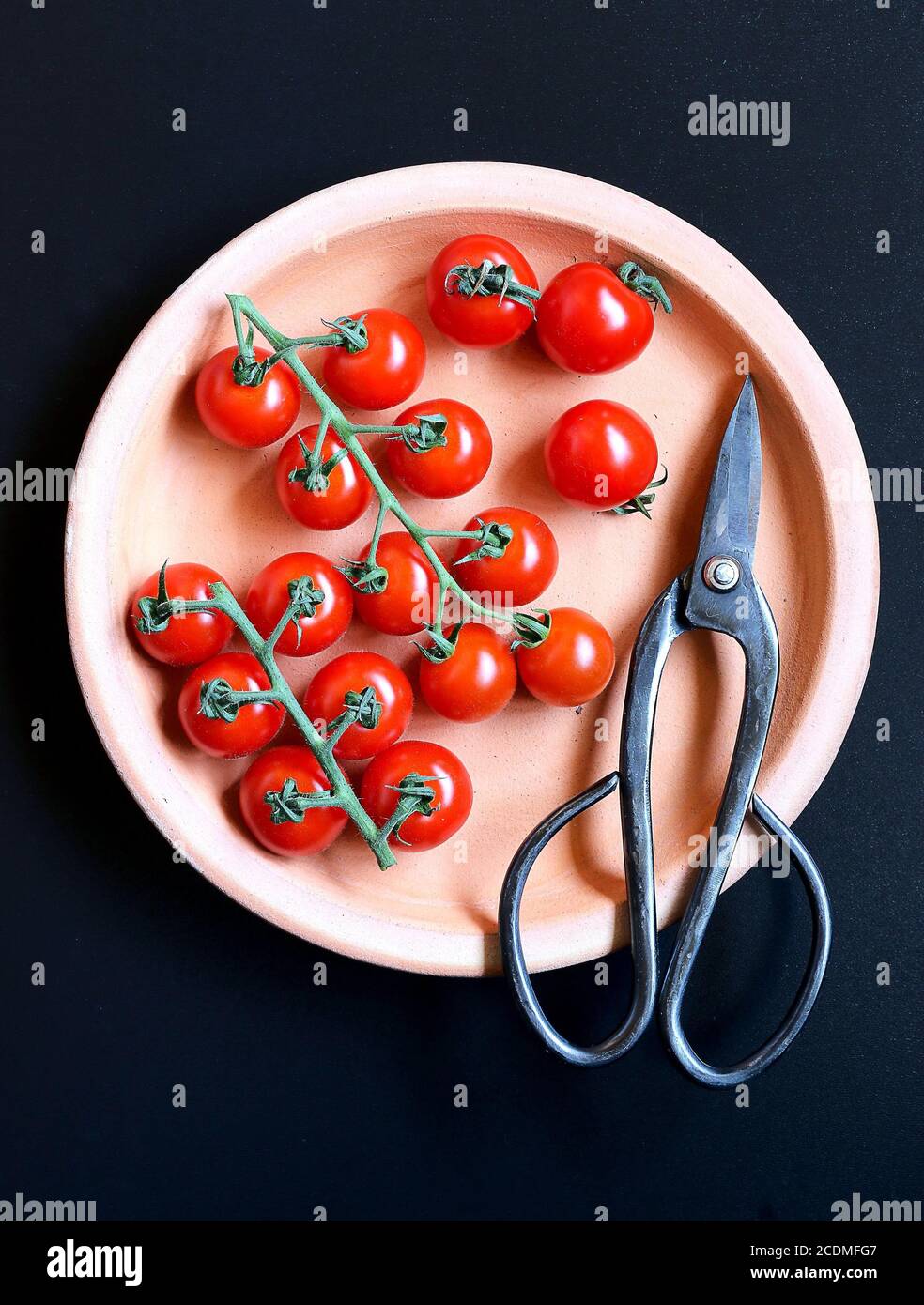 Tomato dish, fresh cut tomatoes Stock Photo - Alamy