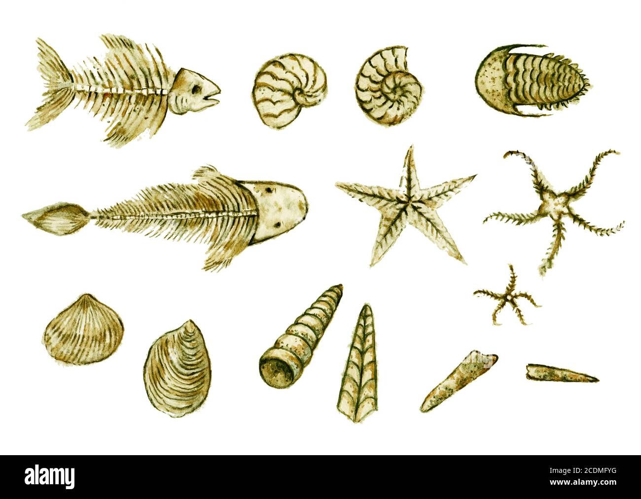 Neolithic art animal hi-res stock photography and images - Alamy