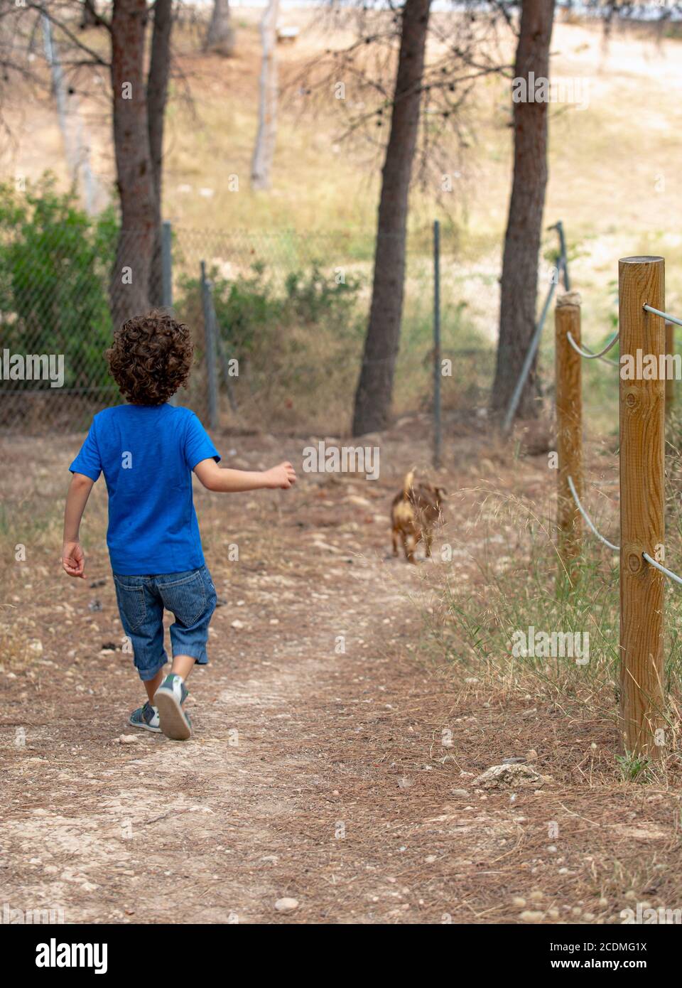 boy runs downhill playing and chasing his dog on dirt road in a park in ...