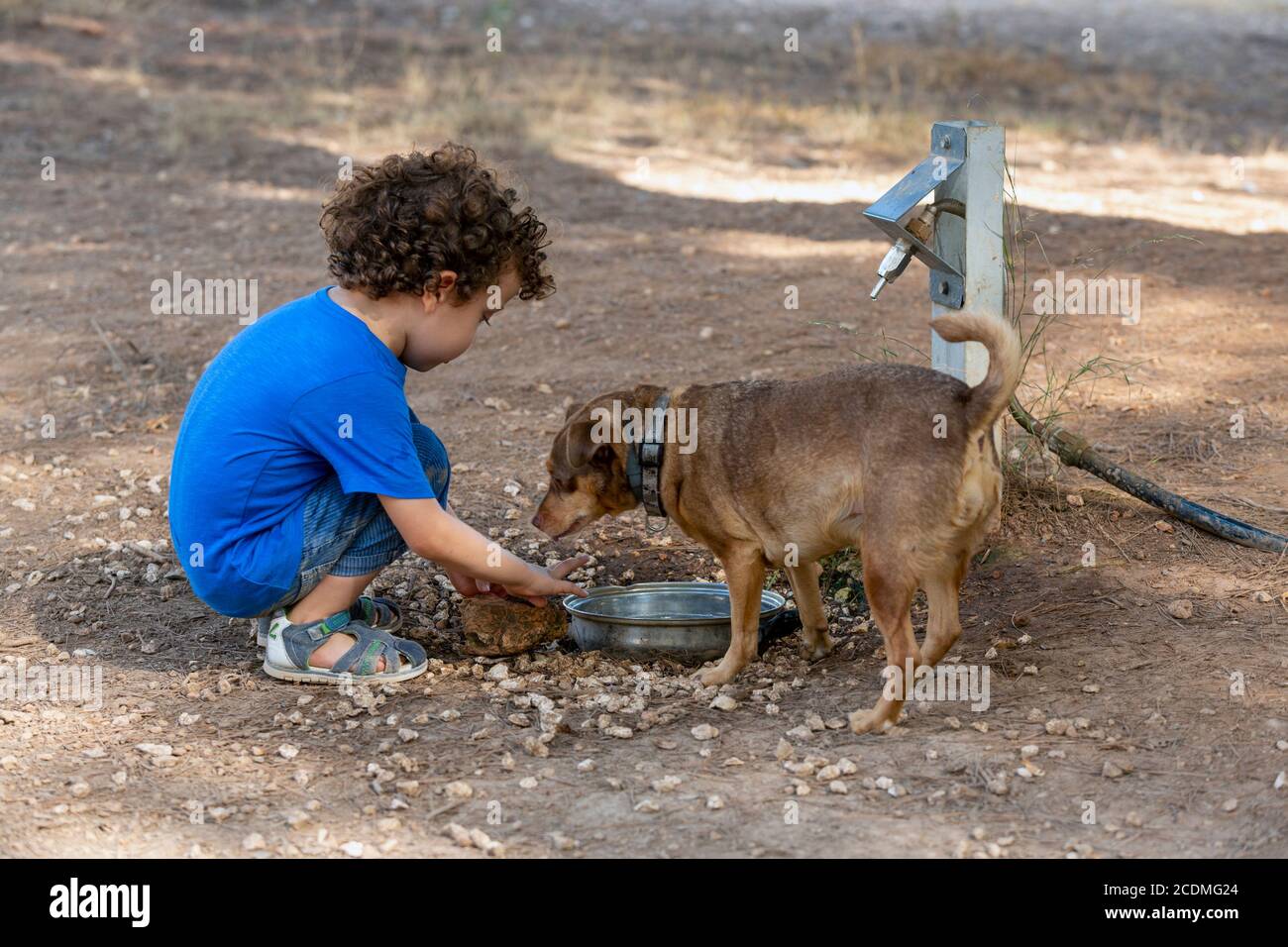 boy drawing water from an animal fountain to give his little dog a ...