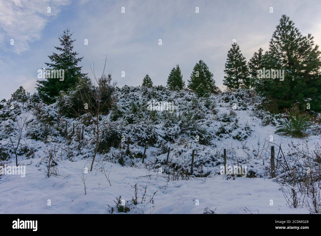 Panorama esquel hi-res stock photography and images - Alamy