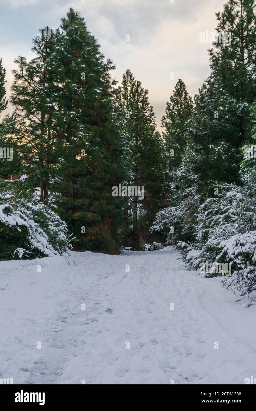 Panorama of esquel hi-res stock photography and images - Alamy