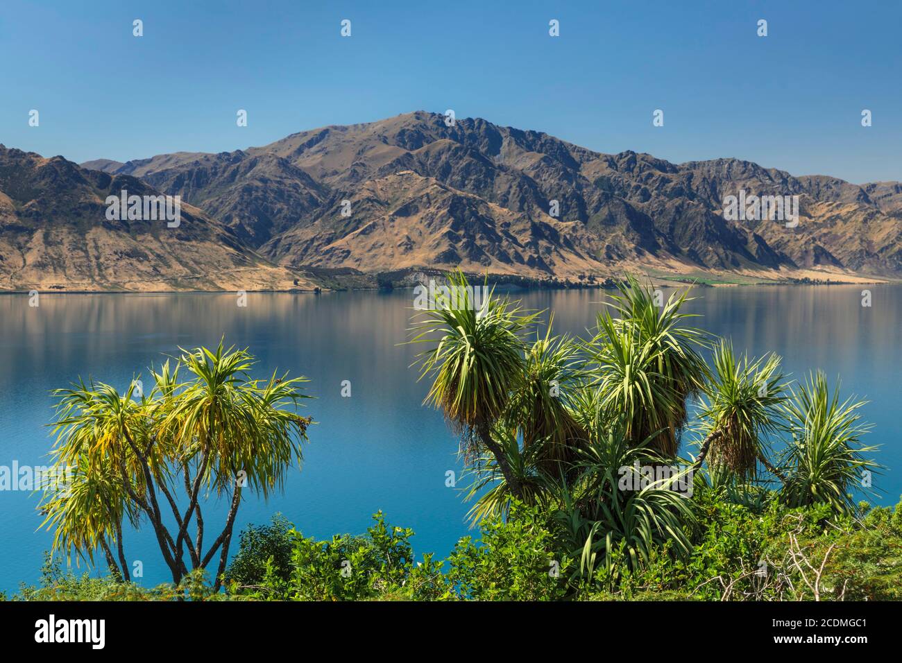 Lake Hawae, Otago, South Island, New Zealand Stock Photo - Alamy