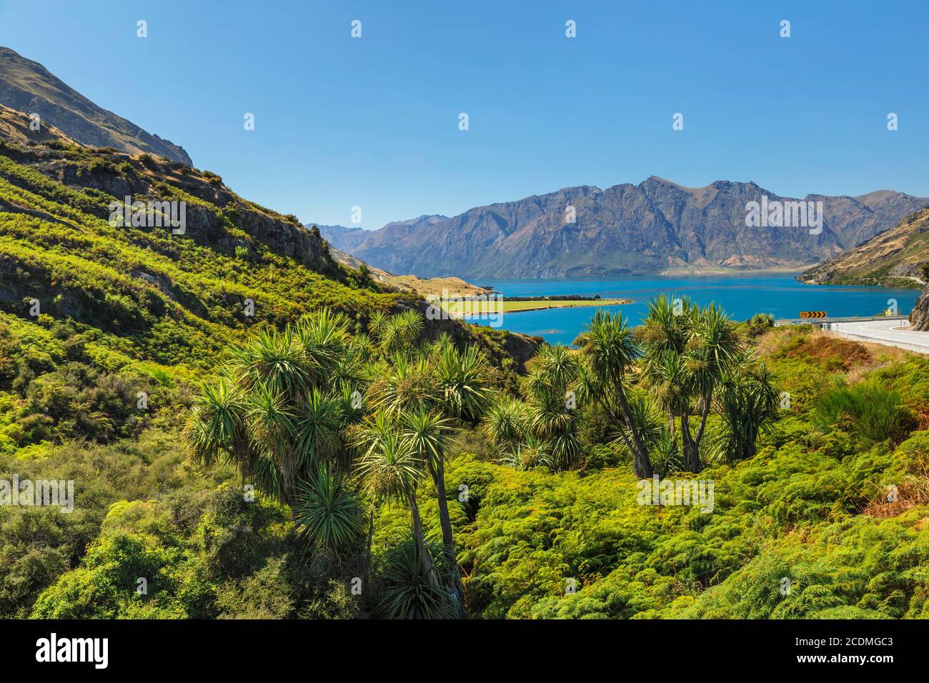 Lake Hawae, Otago, South Island, New Zealand Stock Photo - Alamy