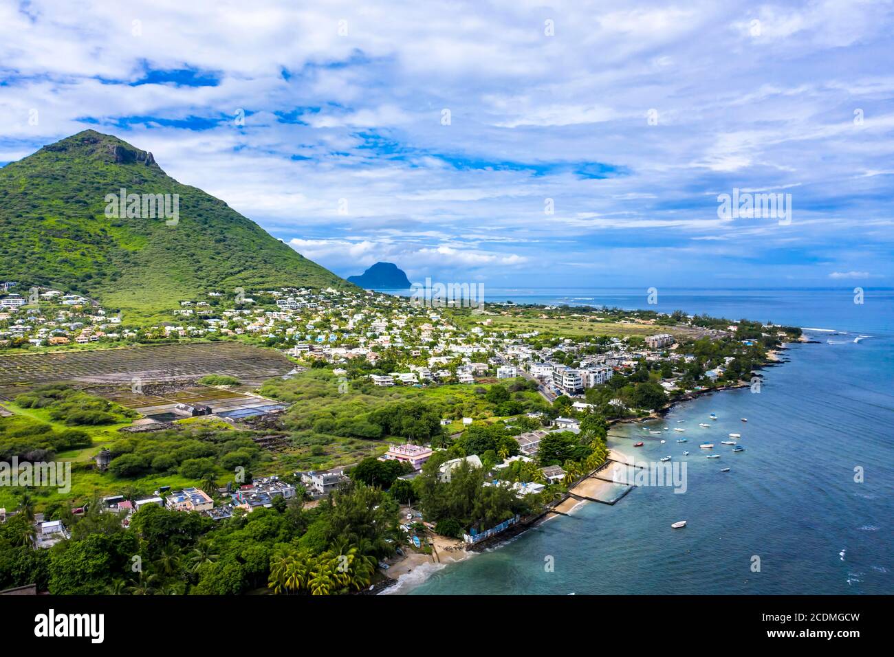 Tamarin mauritius hi-res stock photography and images - Alamy